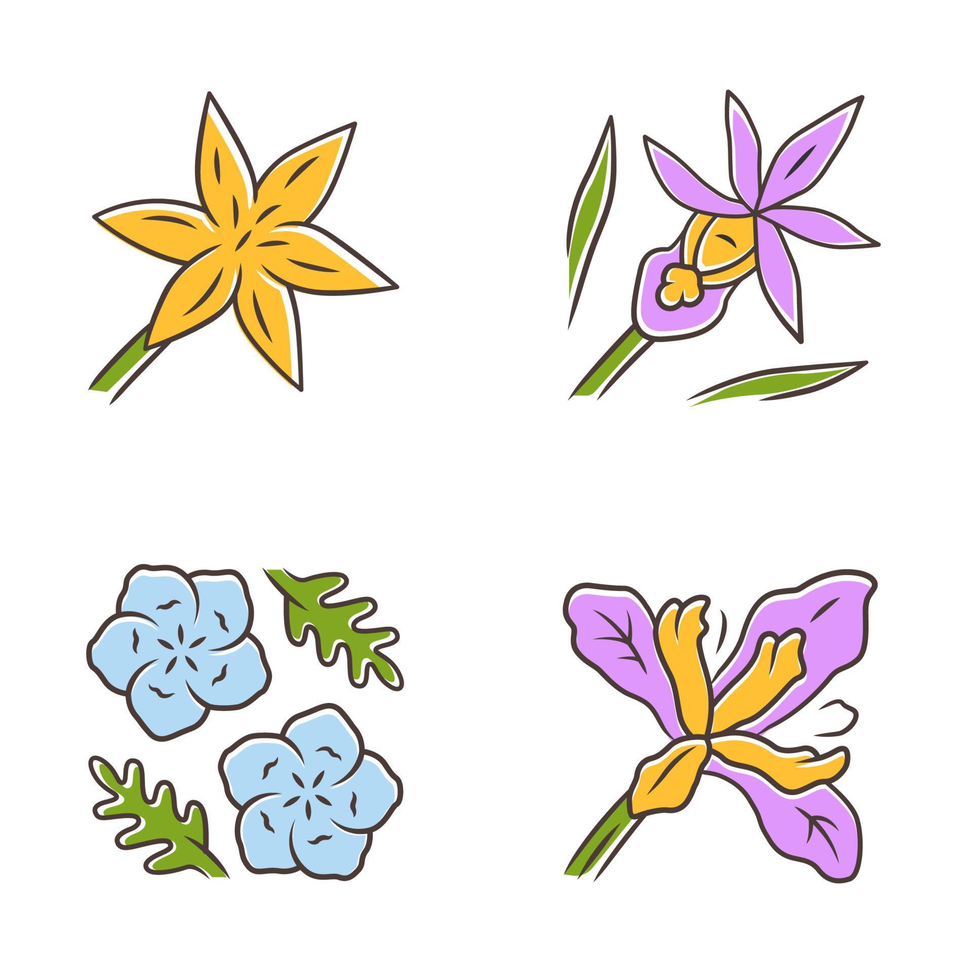 Wild flowers color icons set. Common star lily, calypso orchid, baby ... Wild flowers color icons set. Common star lily, calypso orchid, baby ...