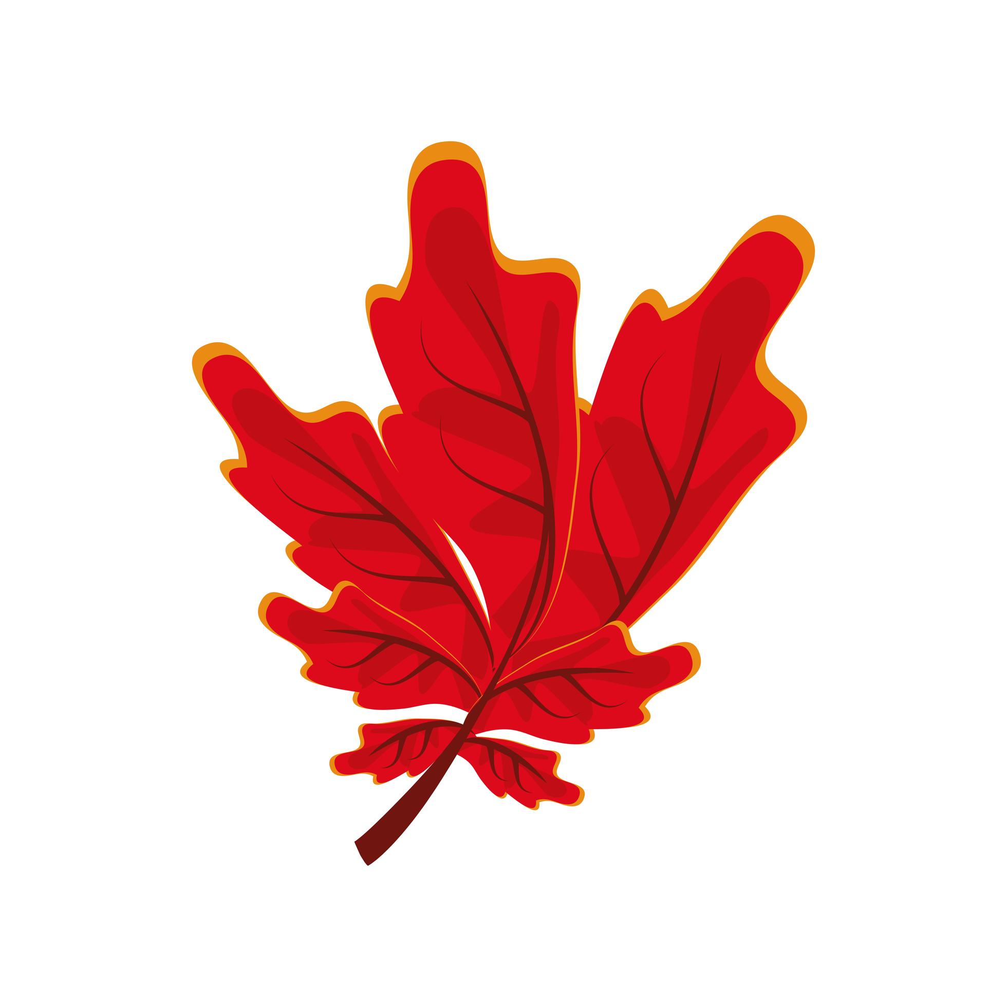 tree leaf botanical 3778157 Vector Art at Vecteezy