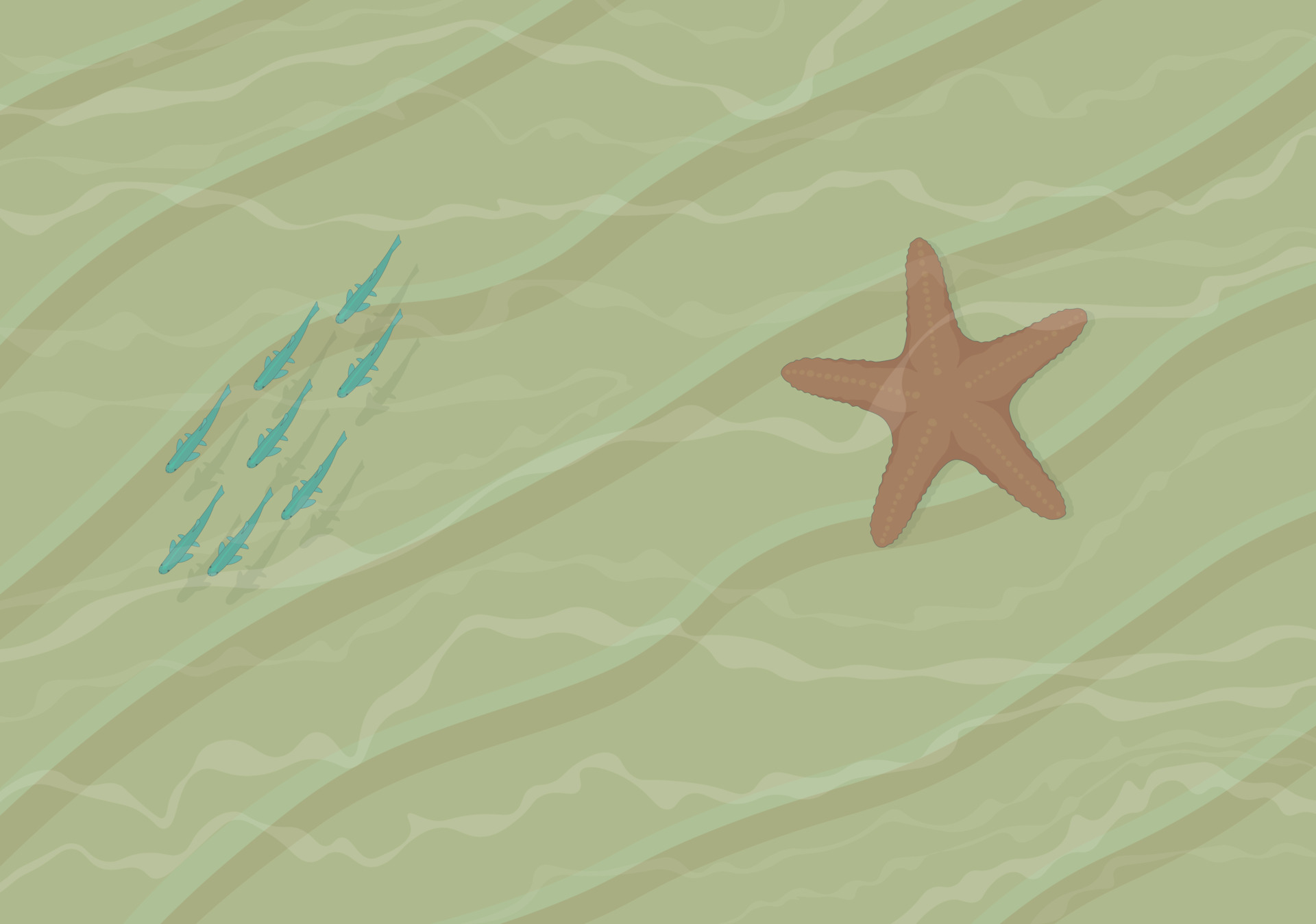 Sand beach shallow water vector illustration 3795007 Vector Art at Vecteezy