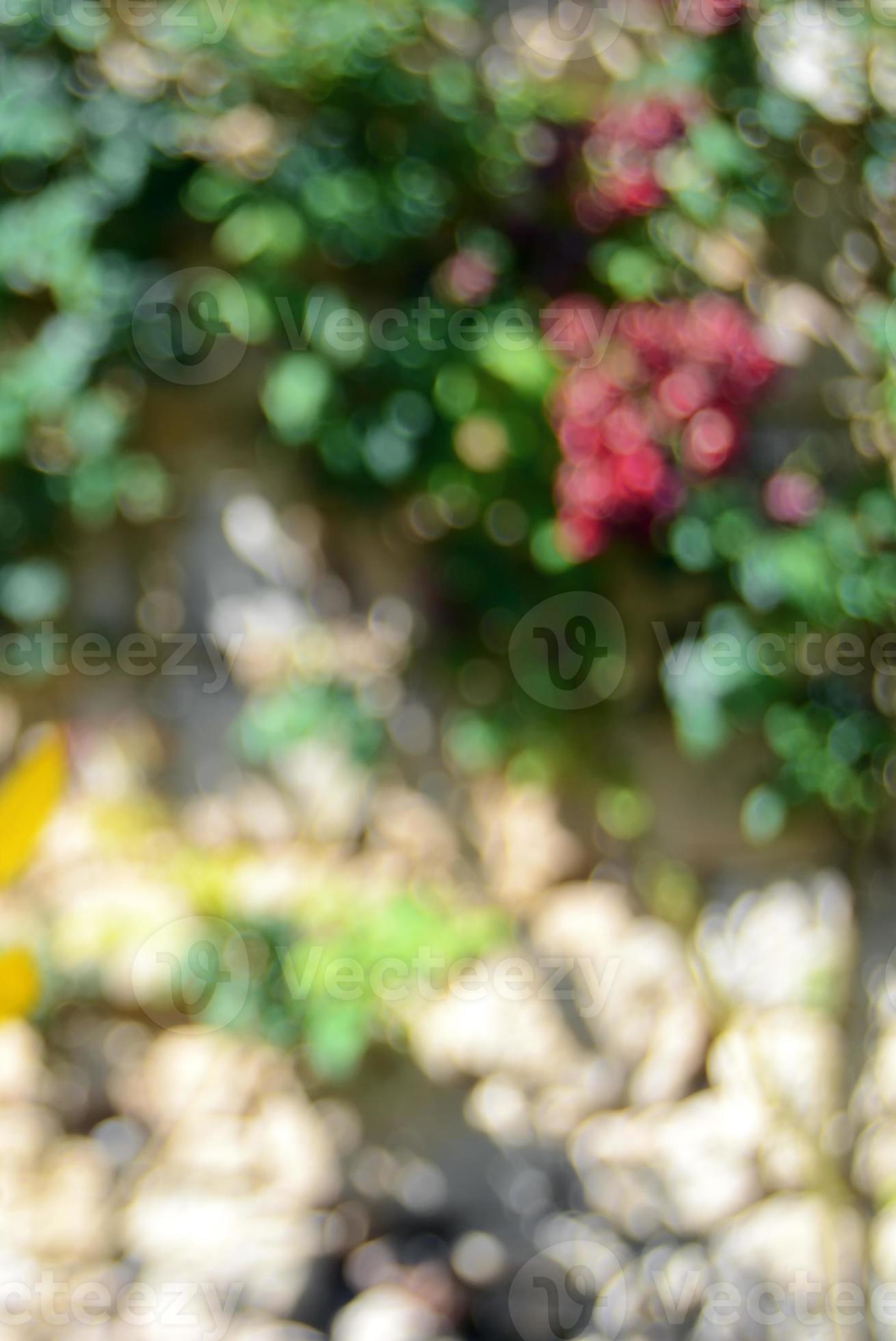 Fresh nature colorful and blurred bokeh background. 3816602 Stock Photo ...