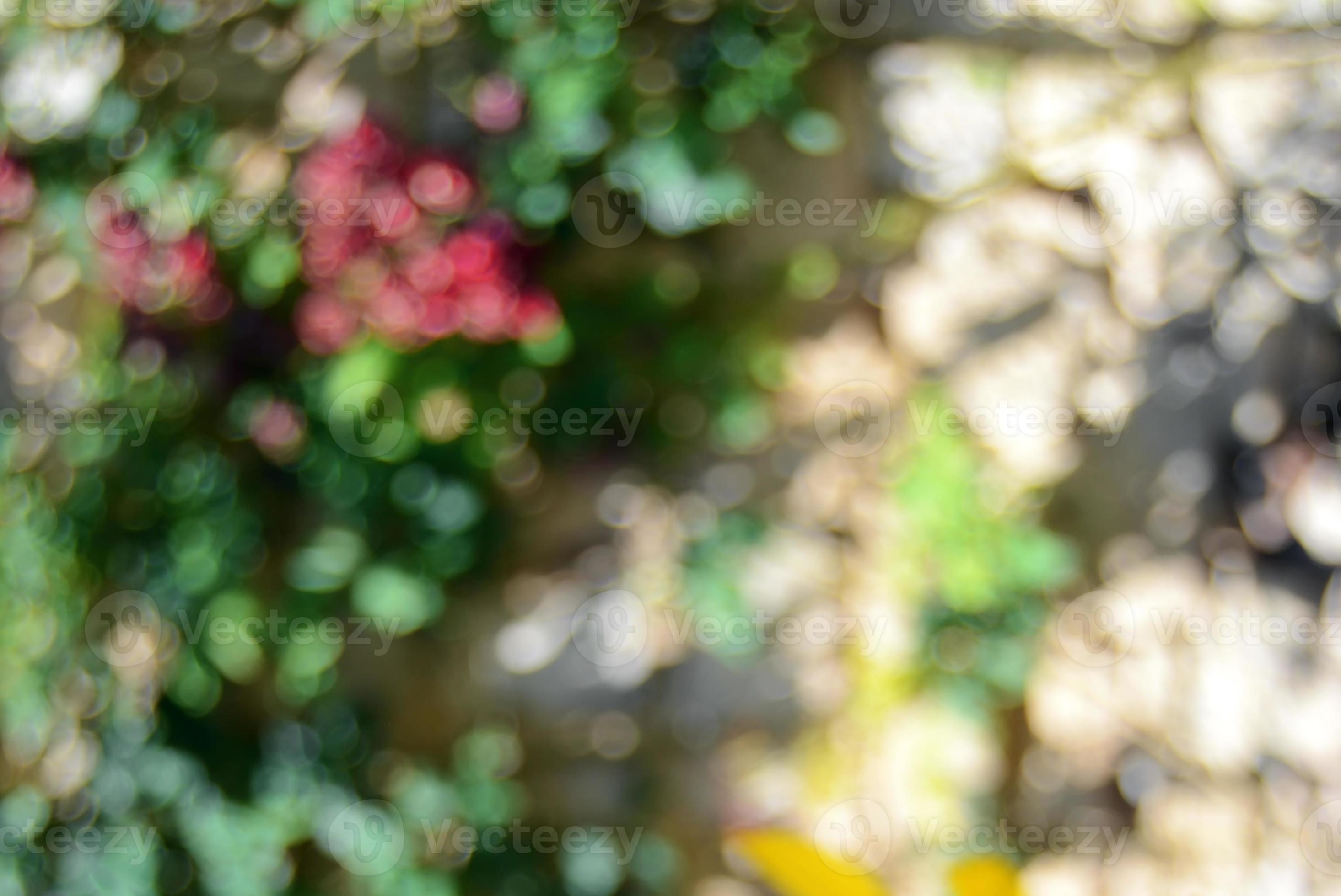 Fresh nature colorful and blurred bokeh background. 3816603 Stock Photo ...