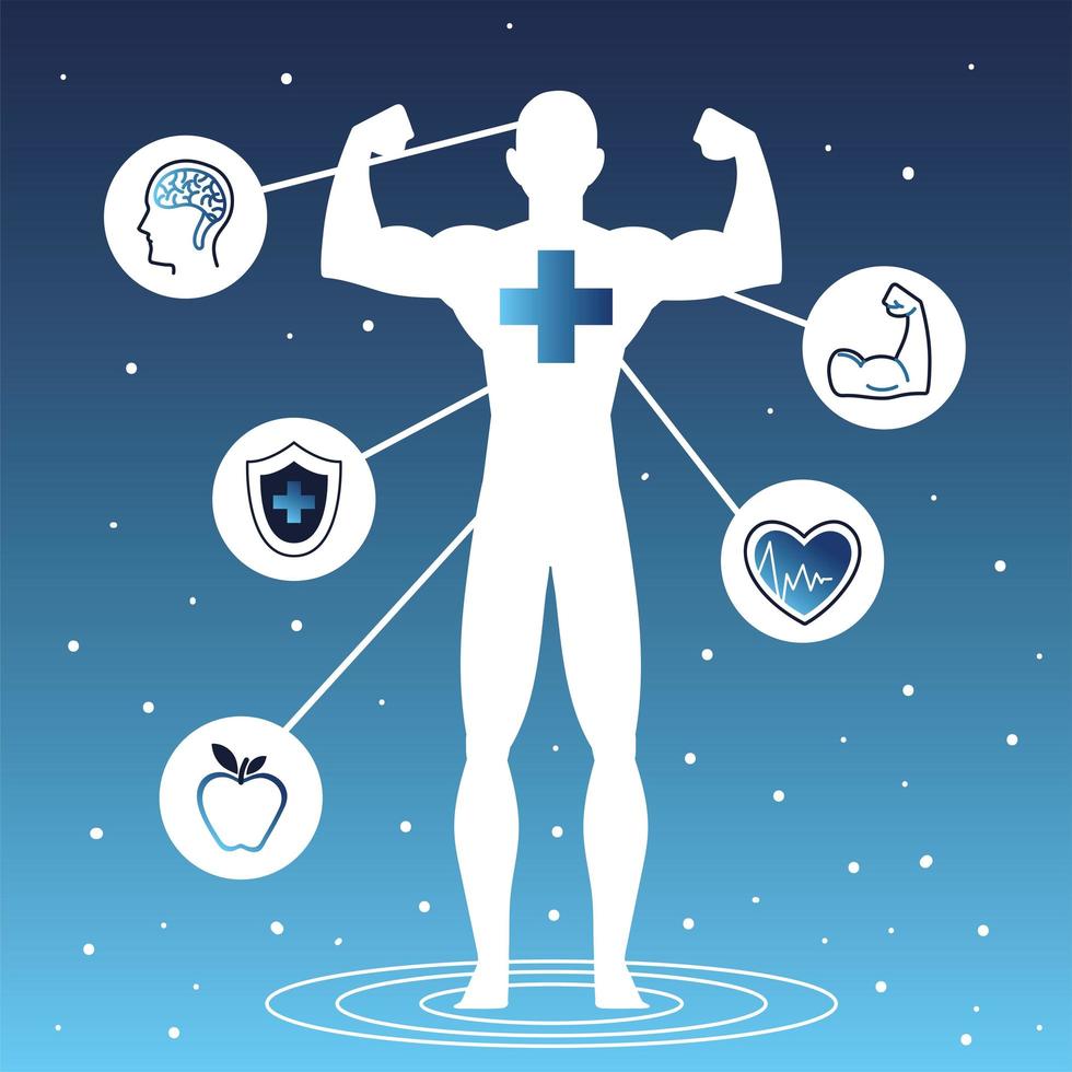 human body healthy 4056966 Vector Art at Vecteezy