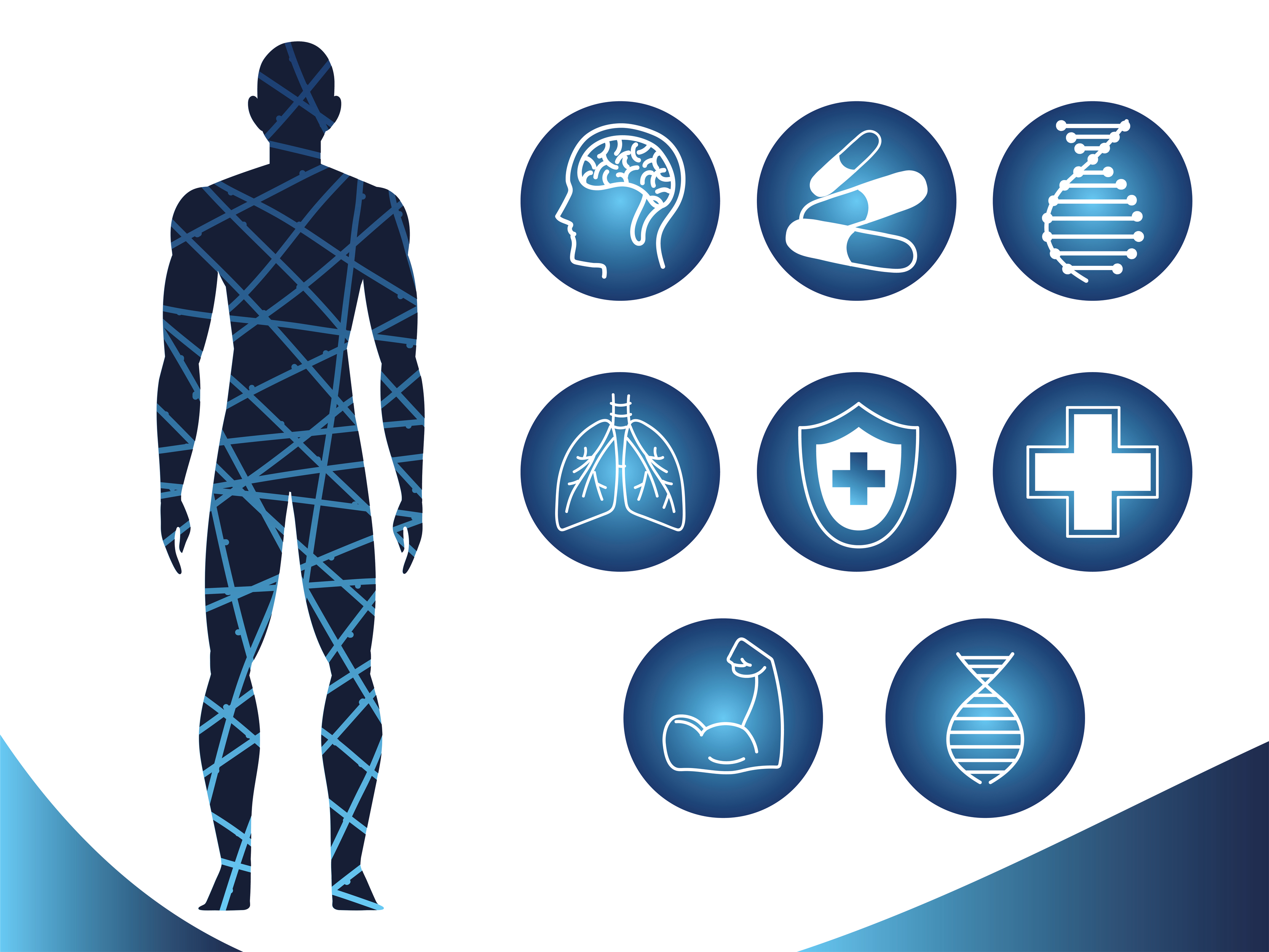 human body with healthy icons 4057601 Vector Art at Vecteezy