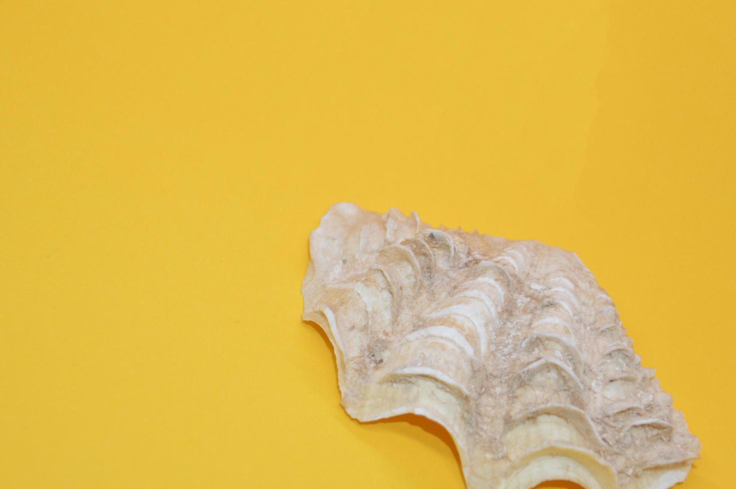 Isolated objects on a solid colored background 4089450 Stock Photo at ...