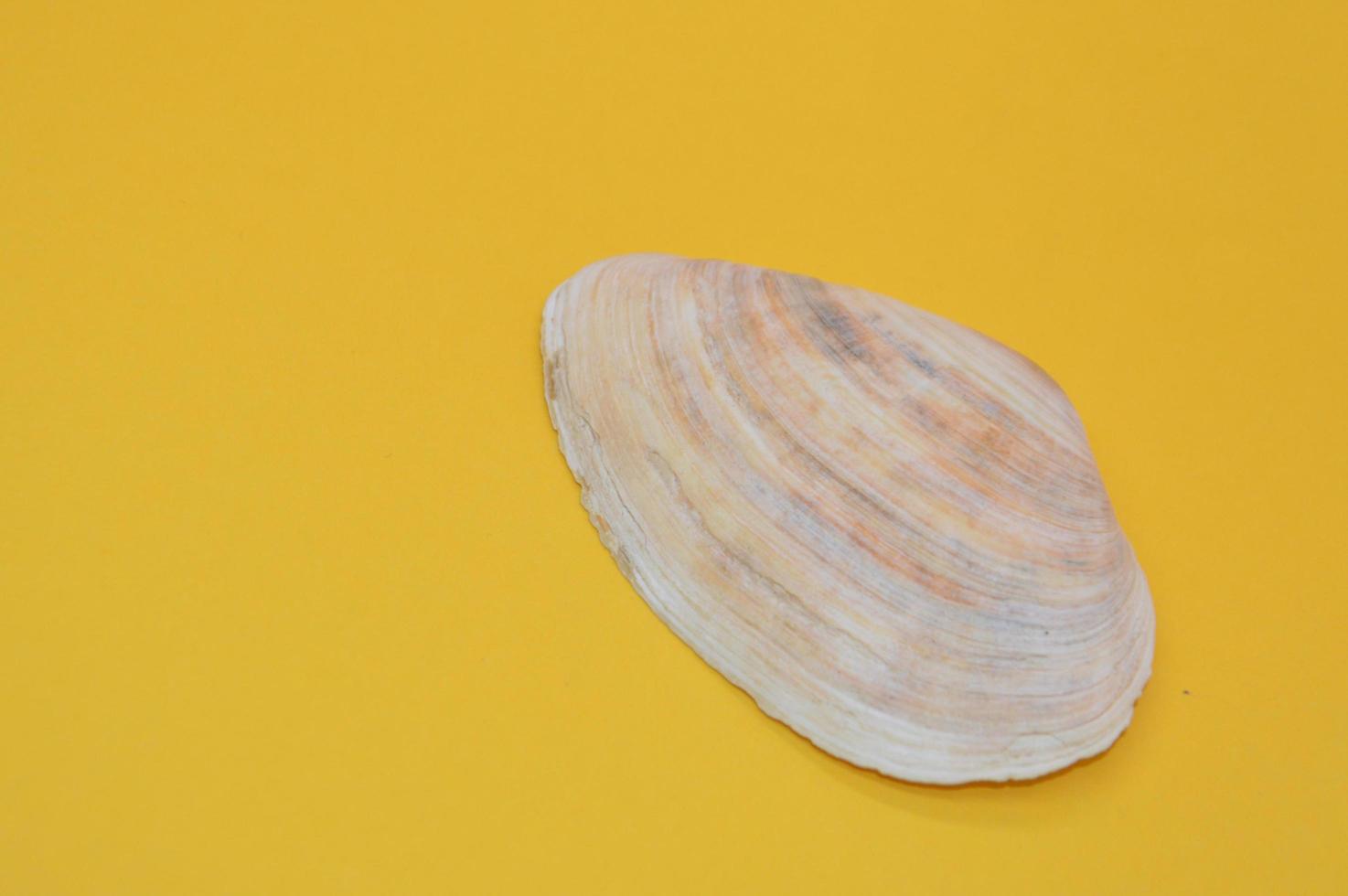 Isolated objects on a solid colored background 4089452 Stock Photo at ...