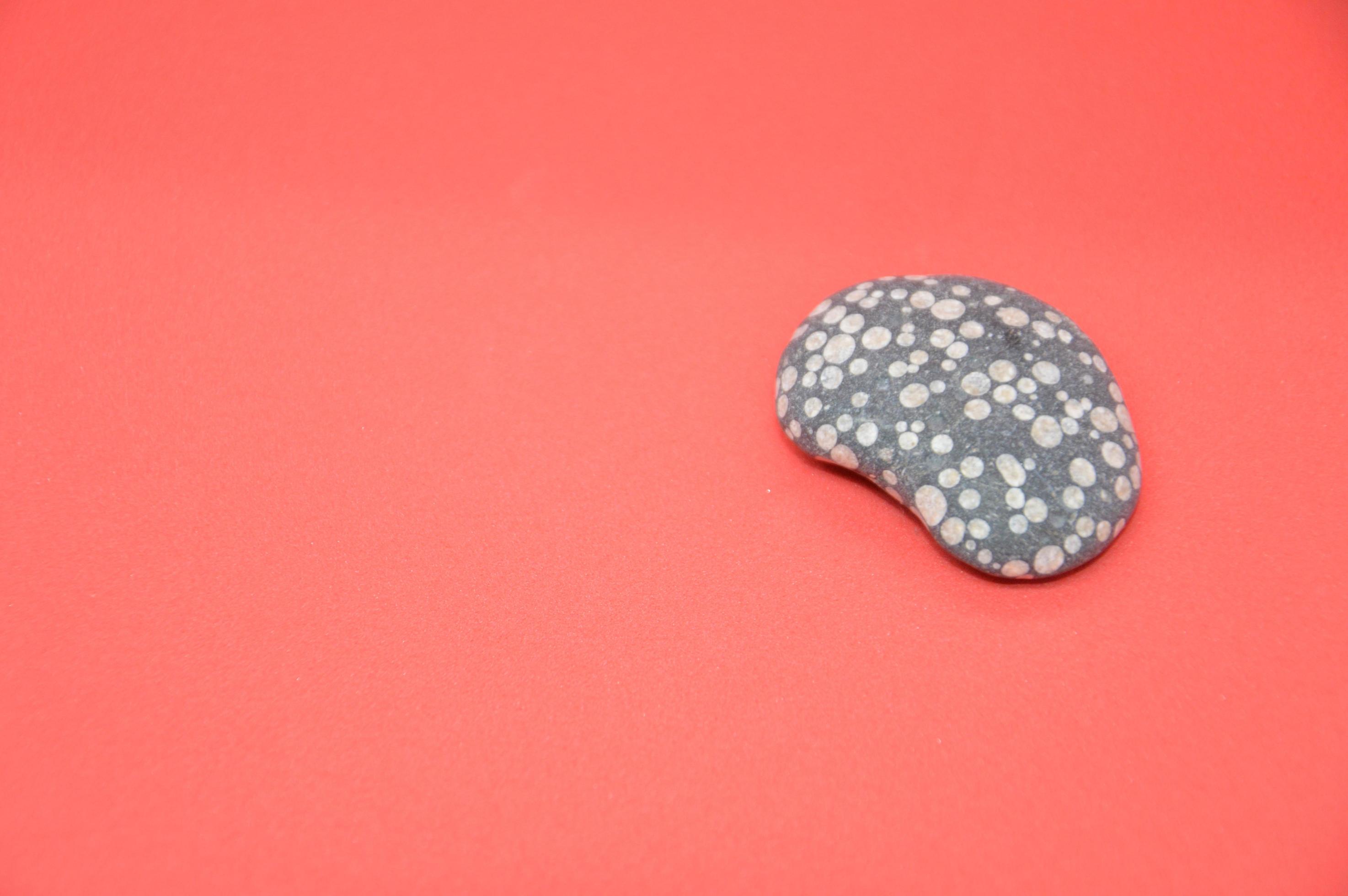 Isolated objects on a solid colored background 4089473 Stock Photo at ...