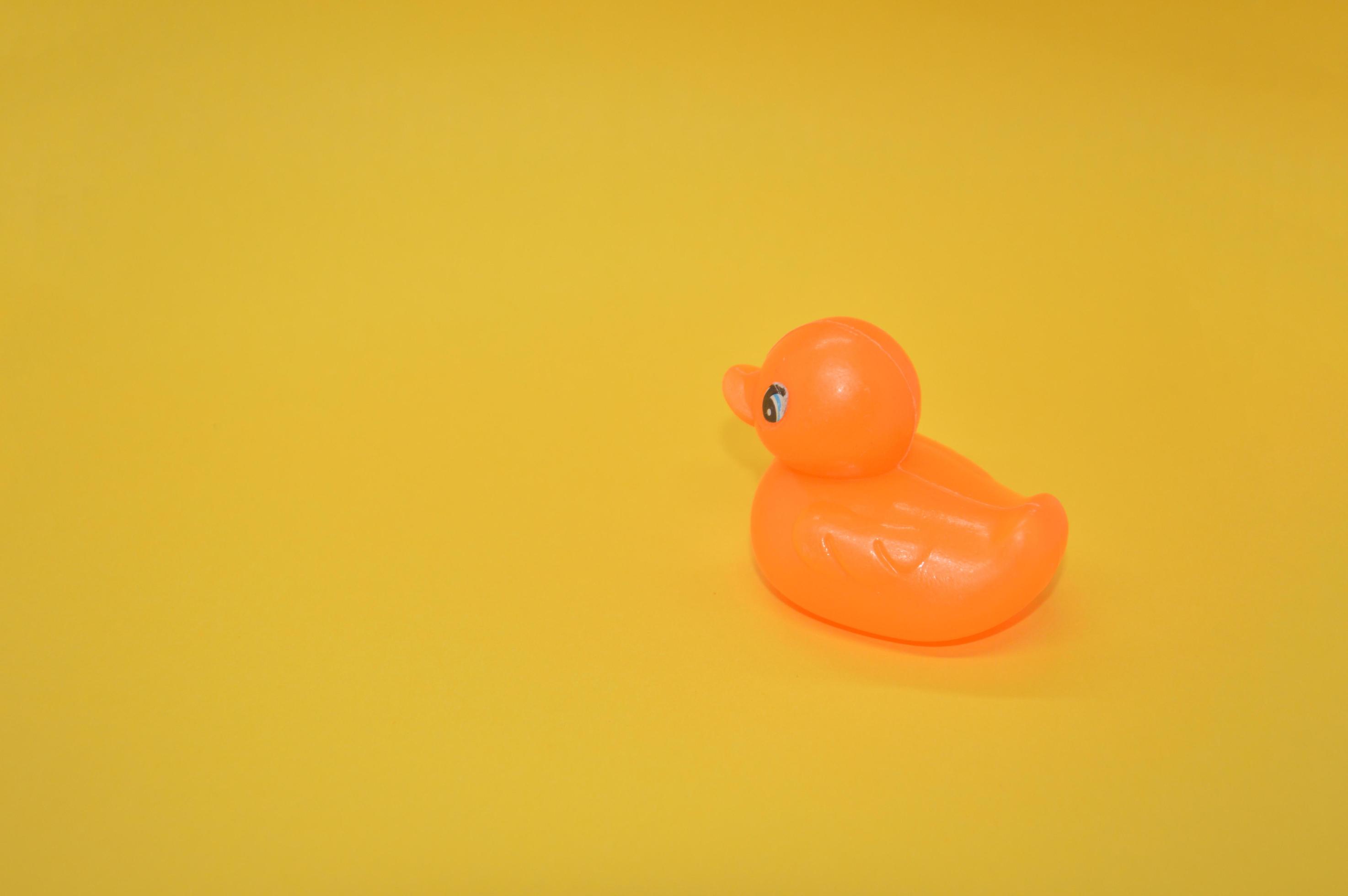 Isolated objects on a solid colored background 4089484 Stock Photo at ...