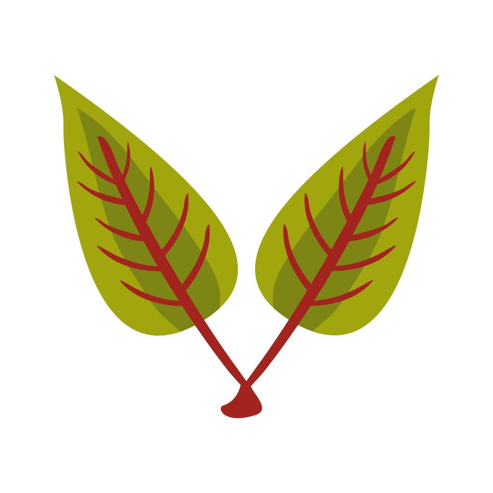 autum ovate leafs flat style icon 4159955 Vector Art at Vecteezy autum ovate leafs flat style icon 4159955 Vector Art at Vecteezy
