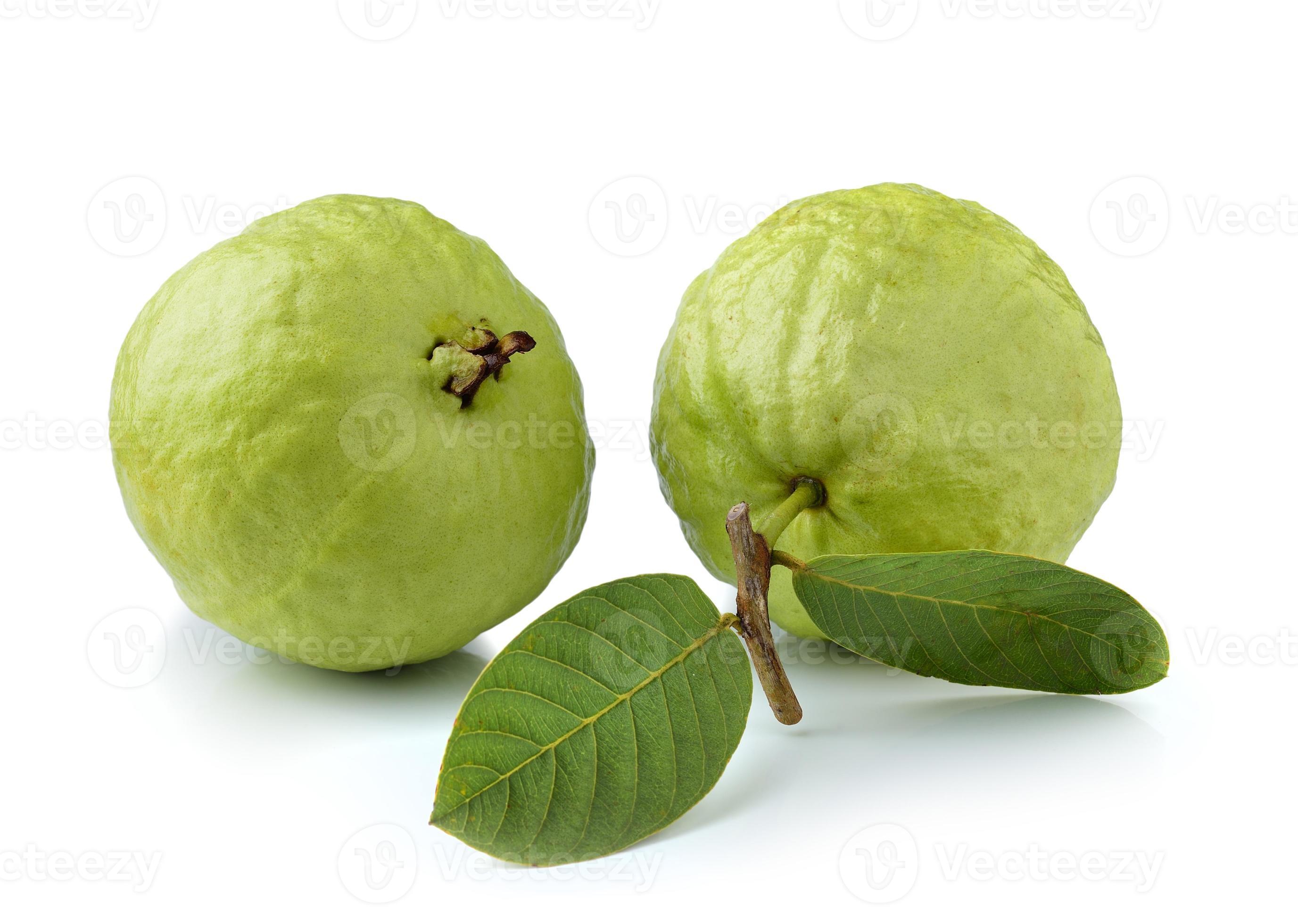 Fruta De Guayaba Aislado Sobre Fondo Blanco 4176868 Foto De Stock En Vecteezy Fruta De Guayaba Aislado Sobre Fondo Blanco 4176868 Foto De Stock En Vecteezy