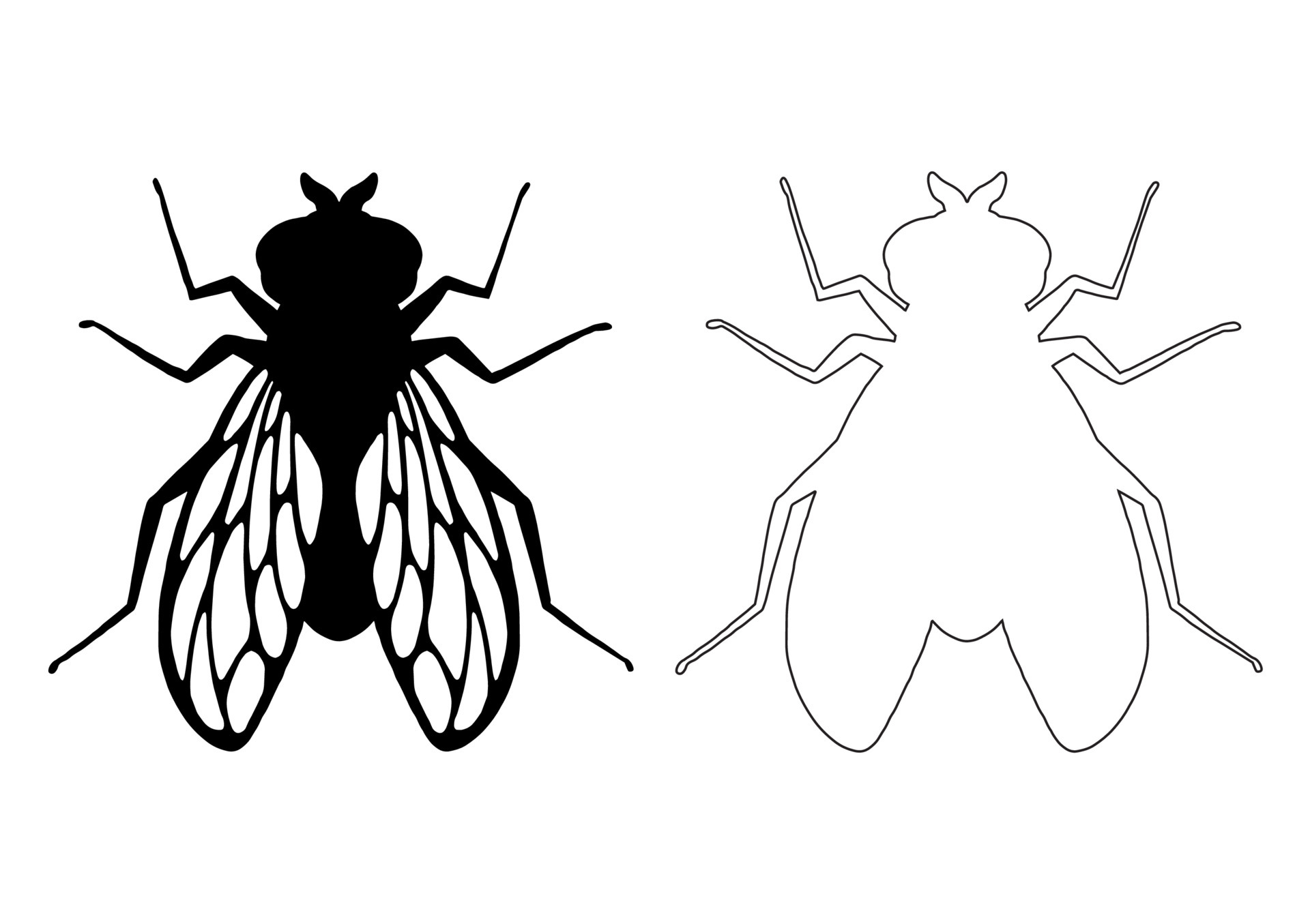 Fly insect. Black silhouette. Design element. Vector illustration ... Fly insect. Black silhouette. Design element. Vector illustration ...