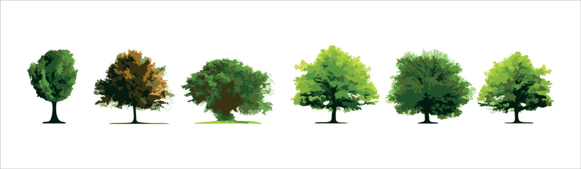 Tree set vector 4245400 Vector Art at Vecteezy