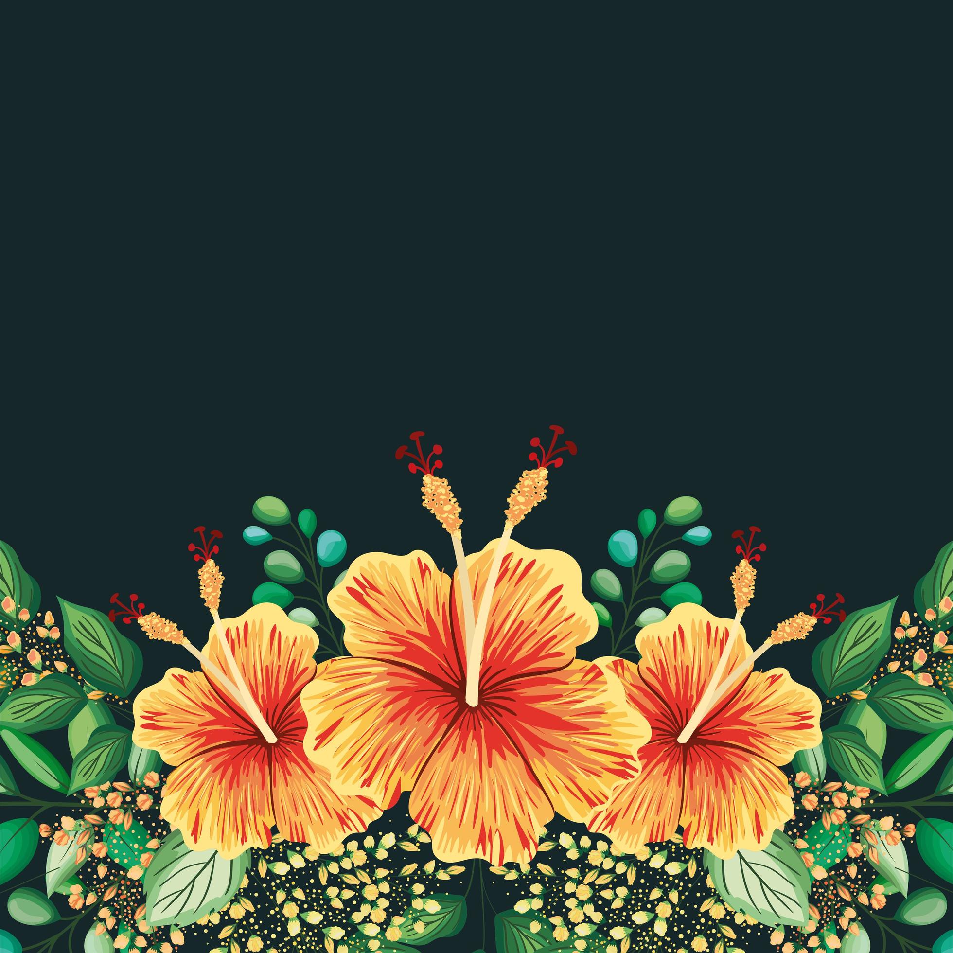 frame with hawaiian flower and leaves painting vector design 4308584 ...