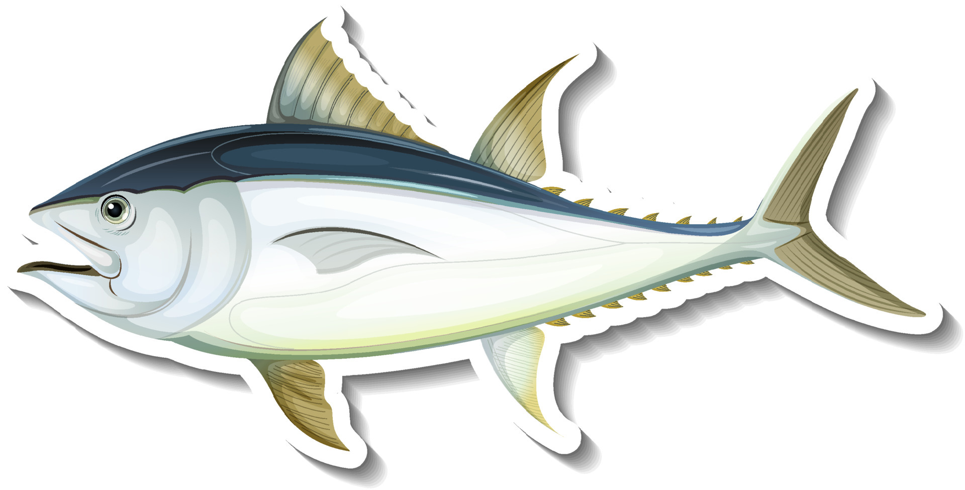 Bluefin Tuna Vector Art, Icons, and Graphics for Free Download Bluefin Tuna Vector Art, Icons, and Graphics for Free Download