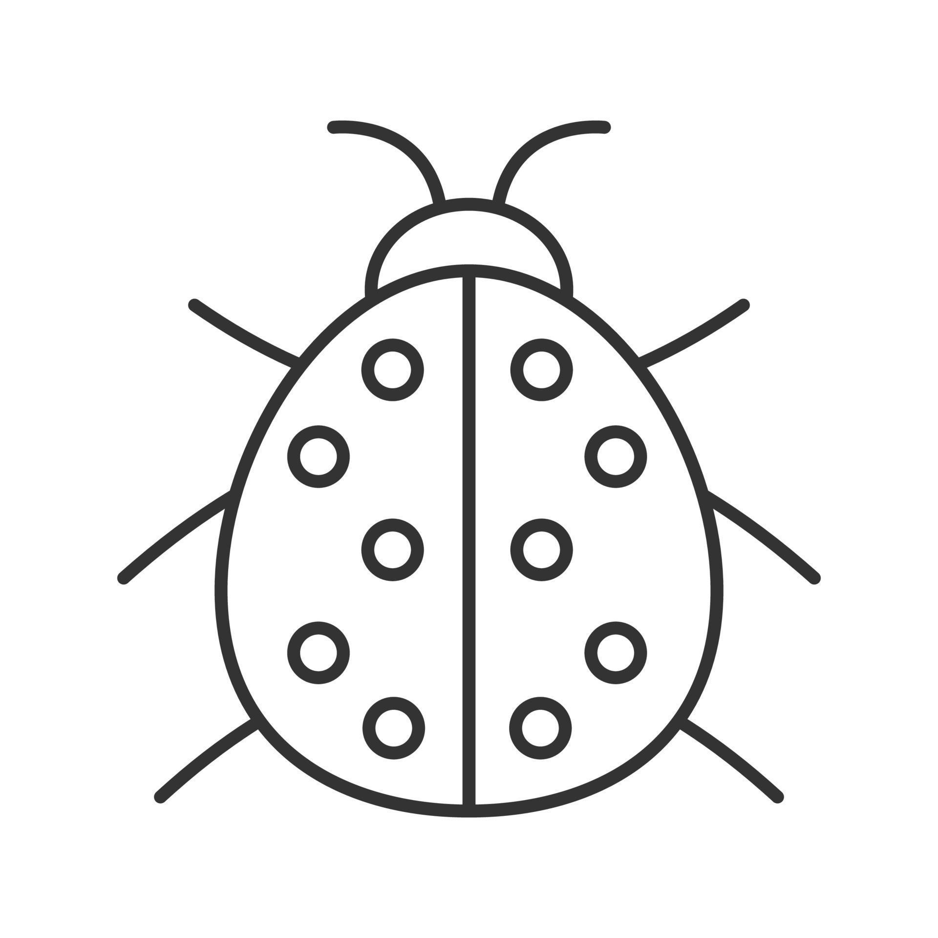 Ladybug Linear Icon Thin Line Illustration Ladybird Contour Symbol