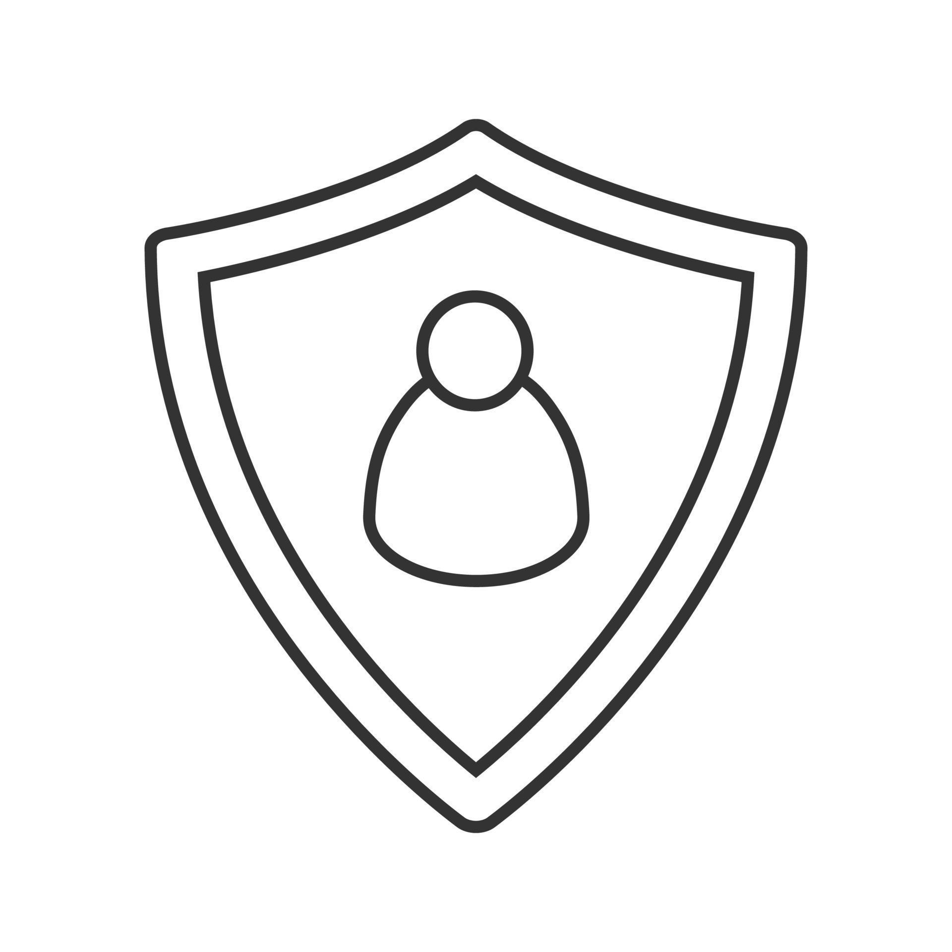User Security Linear Icon Thin Line Illustration Protection Shield