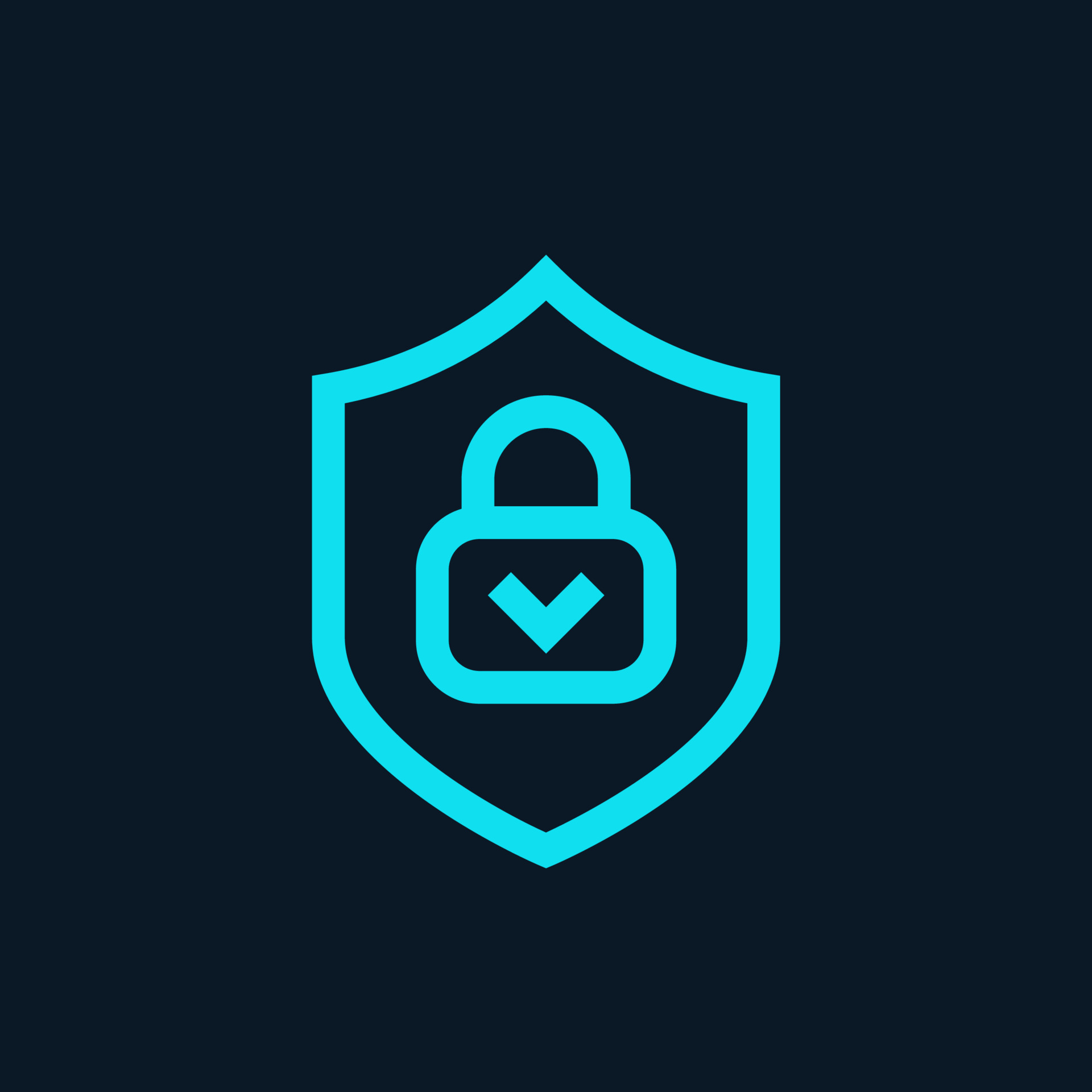 Computer Security Icon