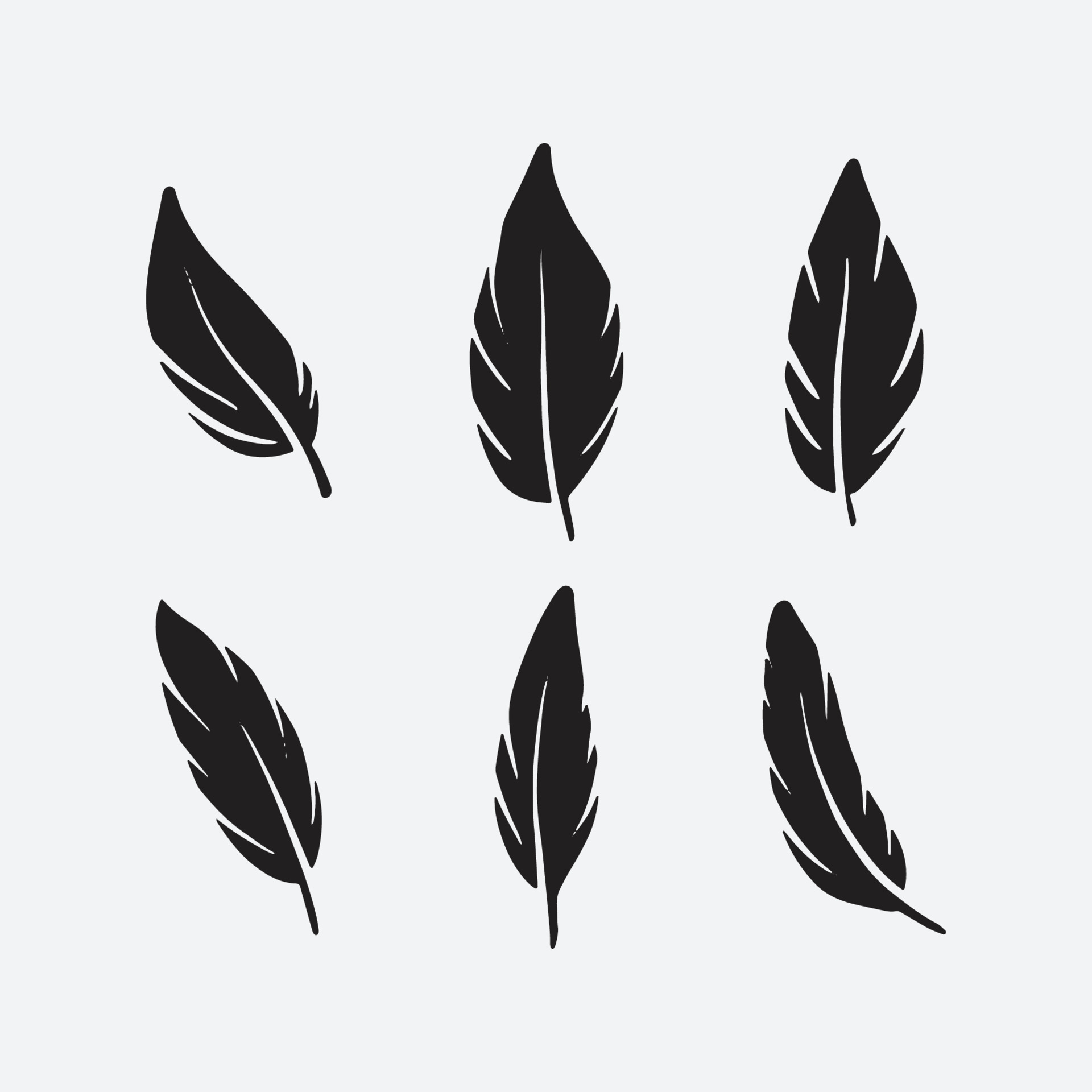 Feather set collection 4431964 Vector Art at Vecteezy