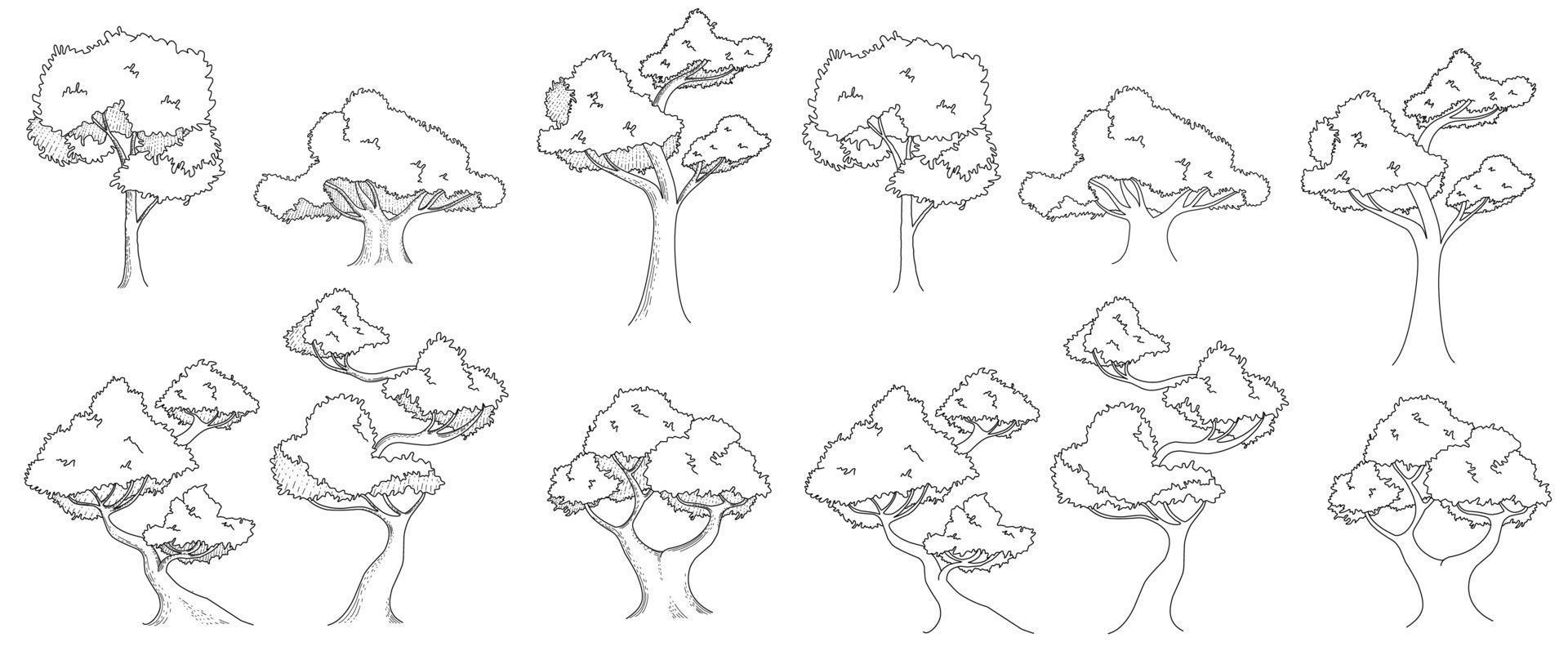 tree illustration drawing 4436518 Vector Art at Vecteezy