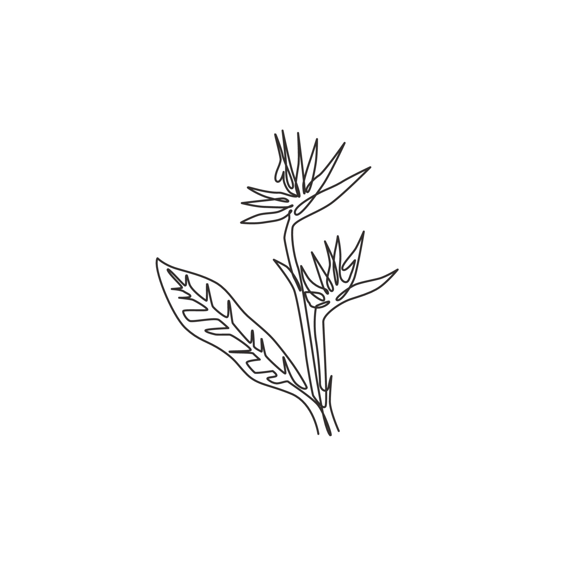 One Continuous Line Drawing Beauty Fresh Strelitzia For Home Art Wall
