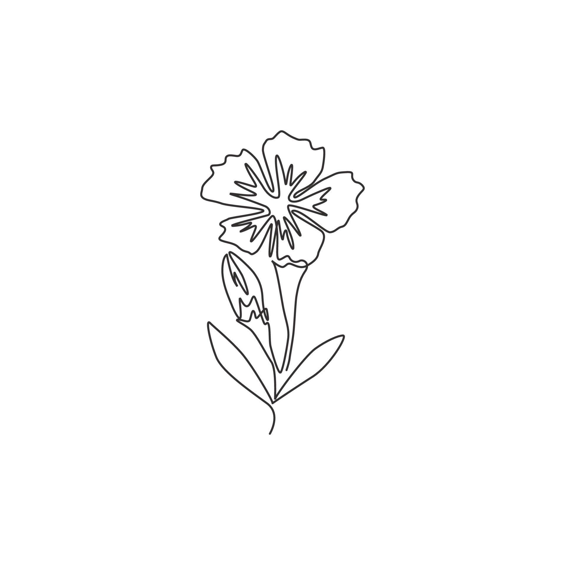 Single Continuous Line Drawing Of Beauty Fresh Dianthus For Home Art