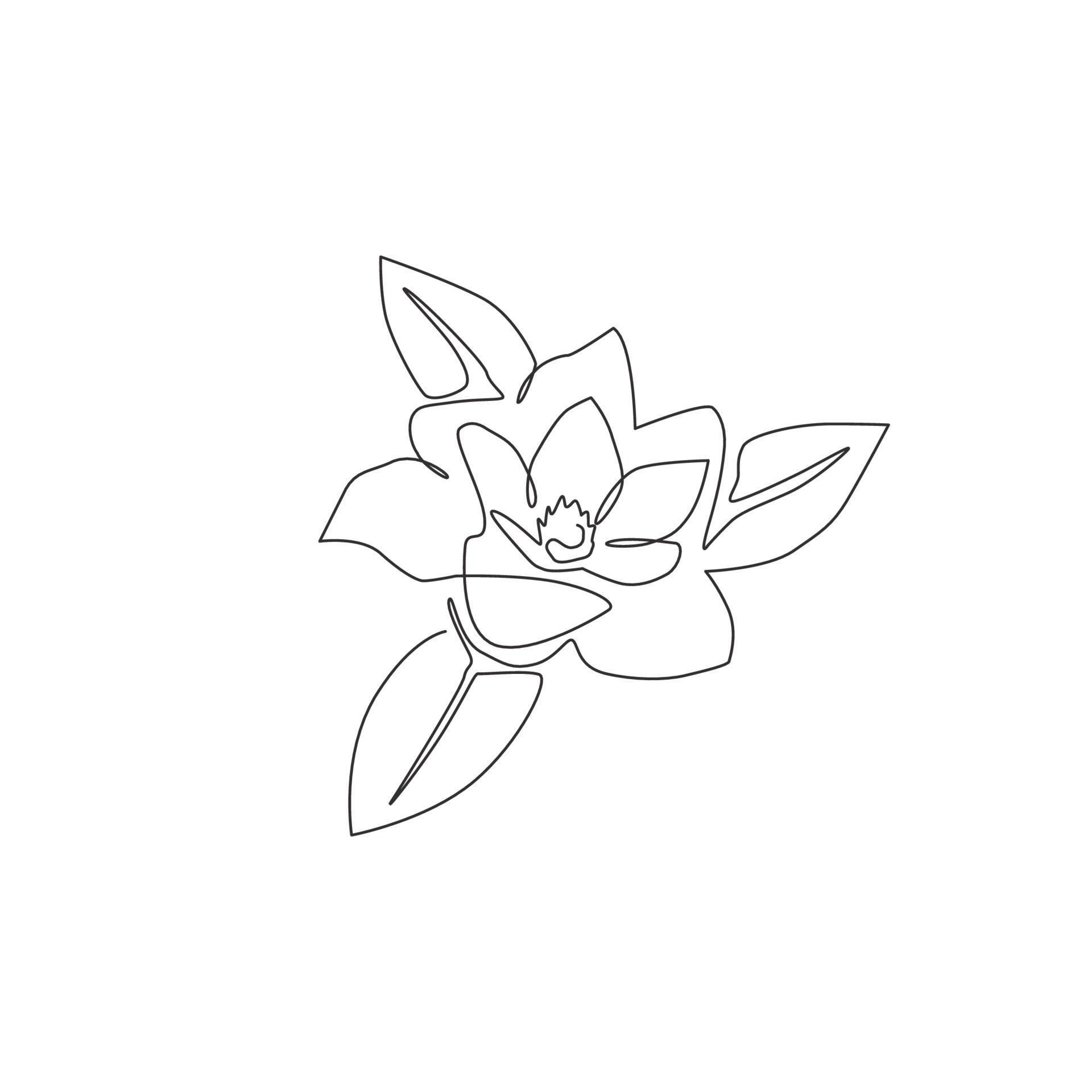 Single Continuous Line Drawing Beauty Fresh Magnoliaceae For Home Art