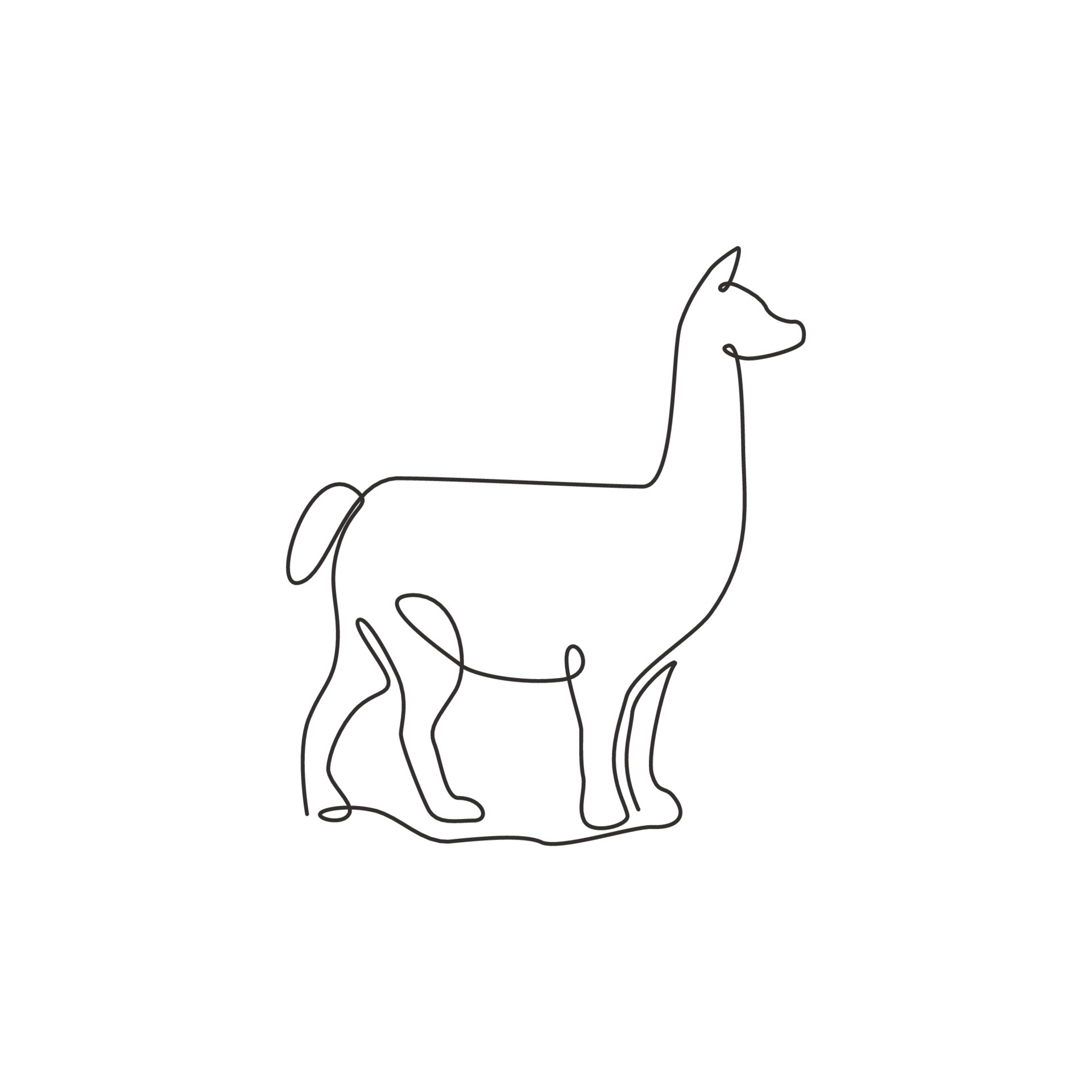 Single continuous line drawing of adorable llama for corporation logo ...