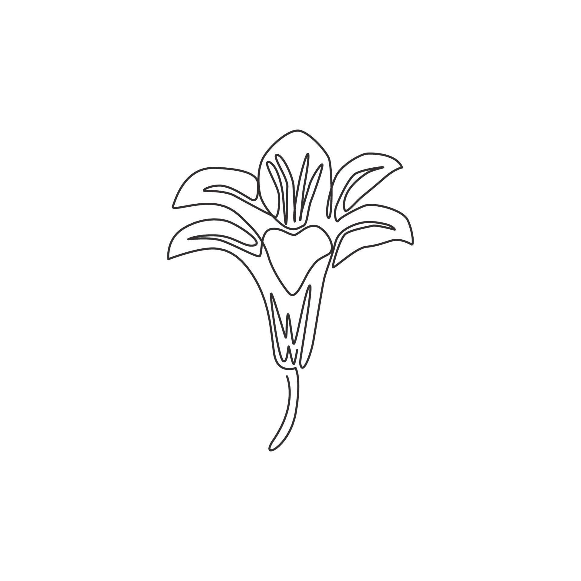 One Continuous Line Drawing Of Beauty Fresh Perennials Lilium Home Wall