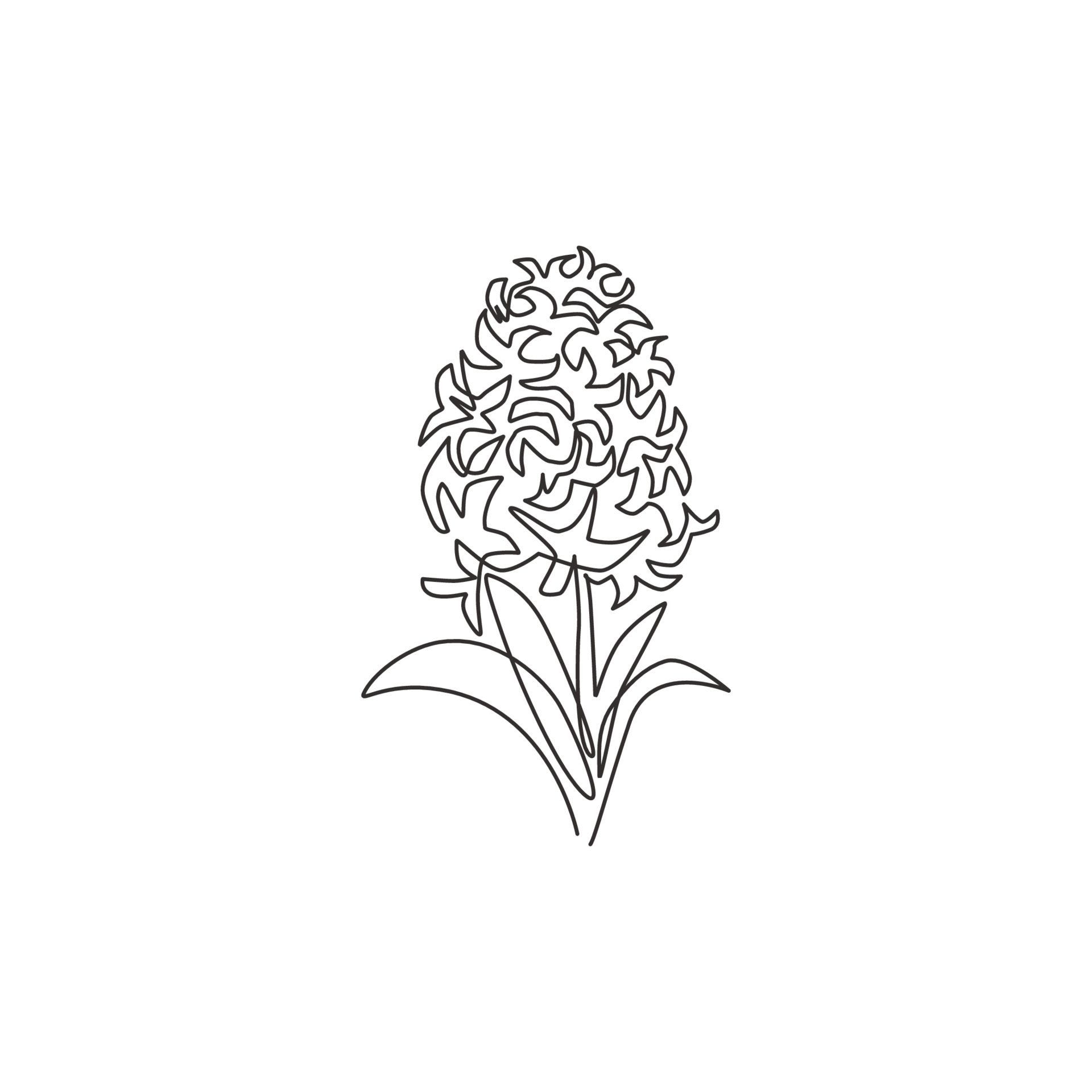 One Single Line Drawing Of Beauty Fresh Hyacinthus For Garden Logo