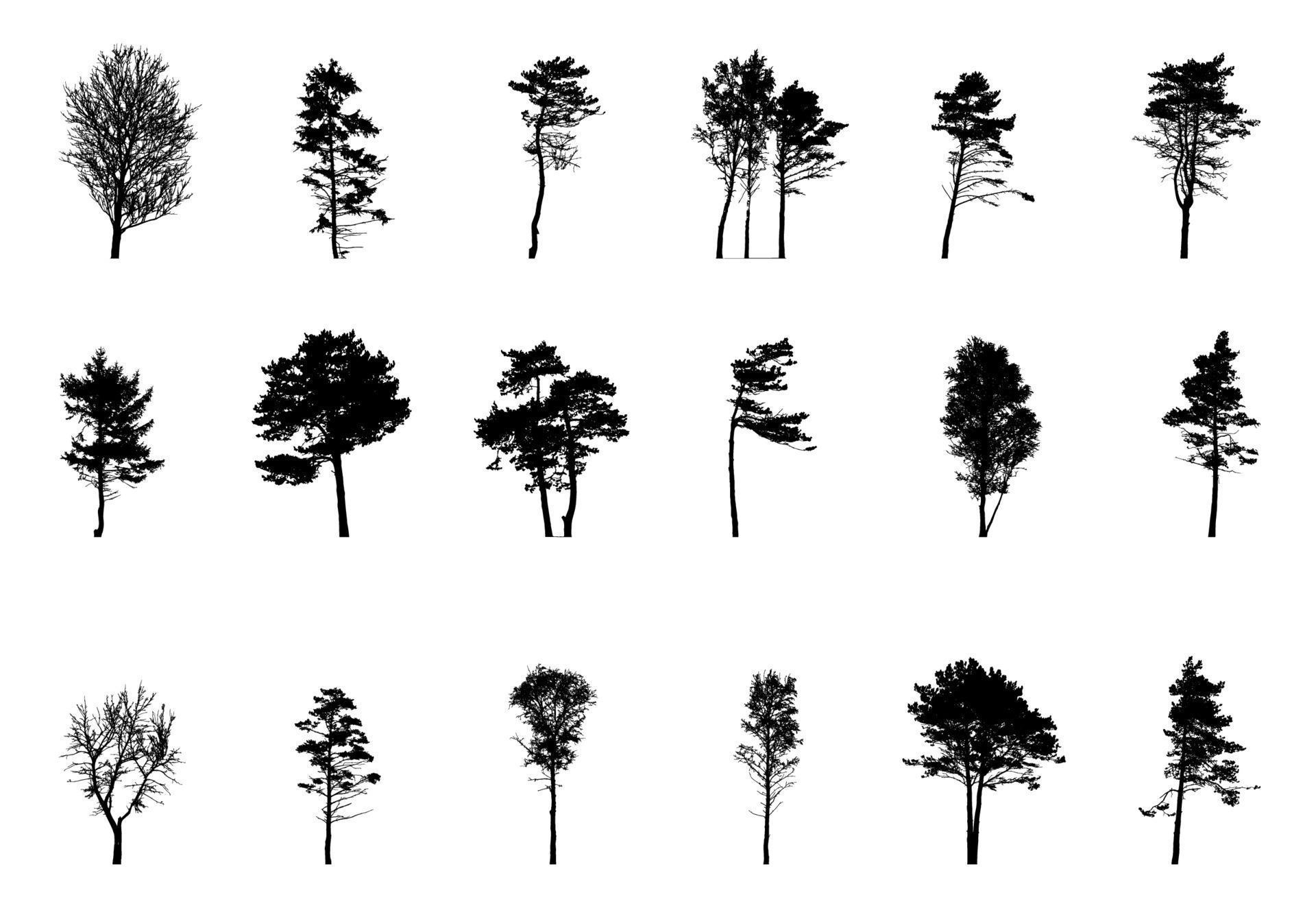 Set of Green Tree Isolated on White Background. Vector Illustration ...