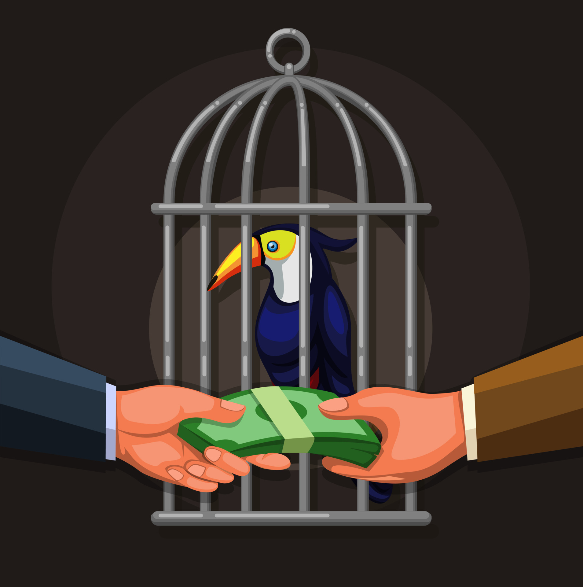 People selling toucan exotic bird. wildlife trade illegal business ... People selling toucan exotic bird. wildlife trade illegal business ...