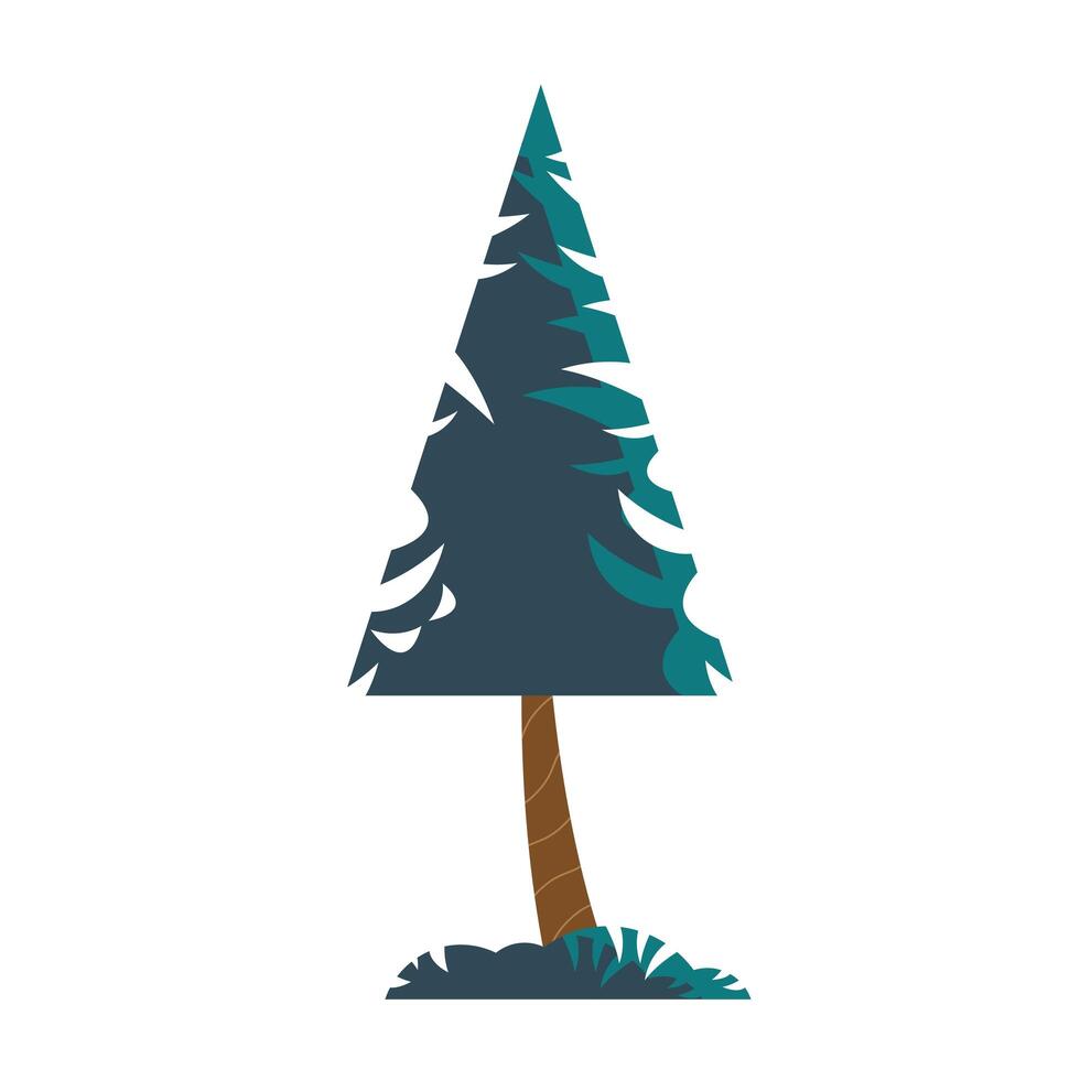 pine tree plant 4623000 Vector Art at Vecteezy