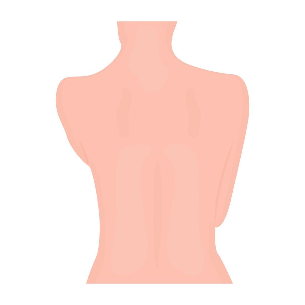 Woman Back Concepts 4635091 Vector Art At Vecteezy