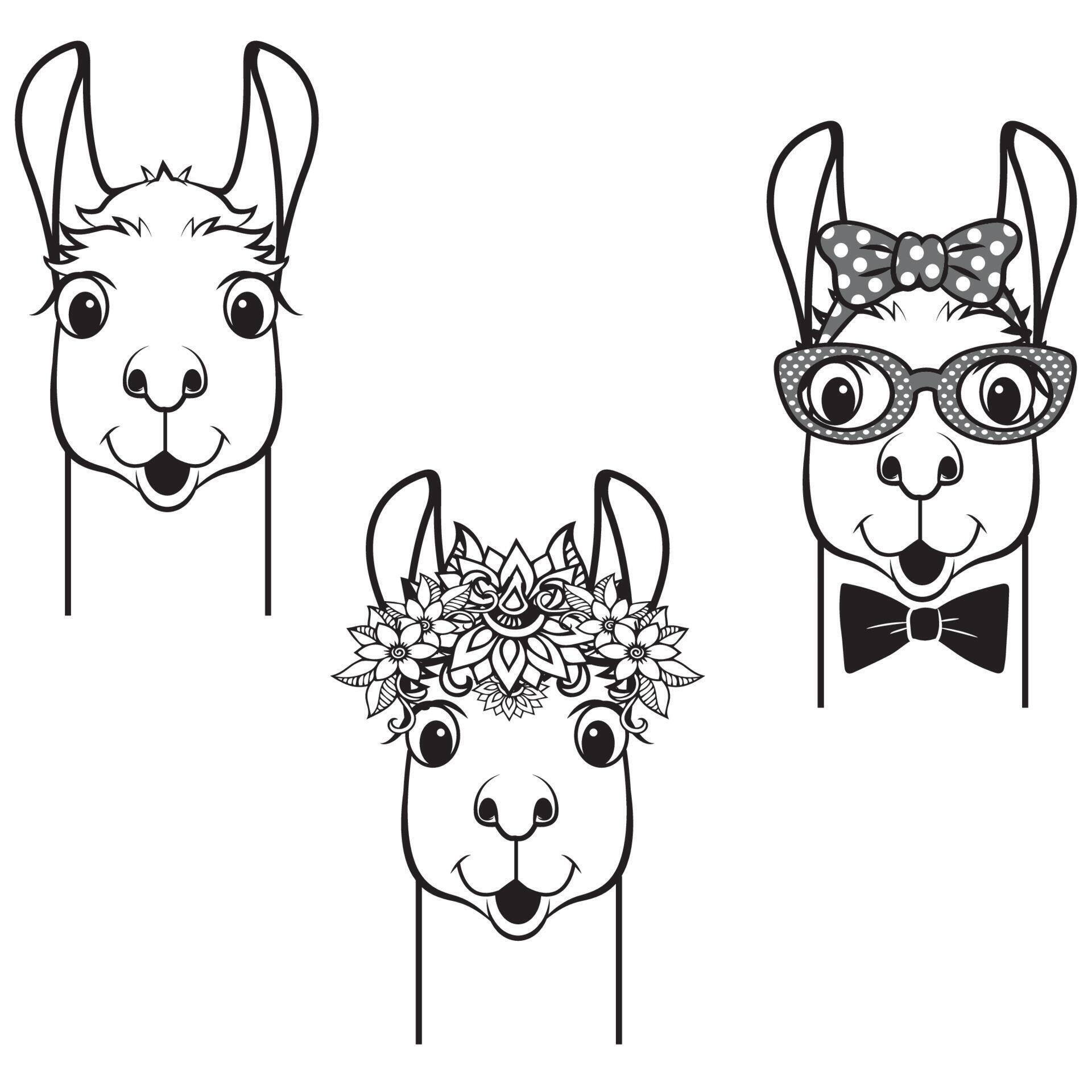 llama alpaca vector set. Hand drawn llama character illustration and ...