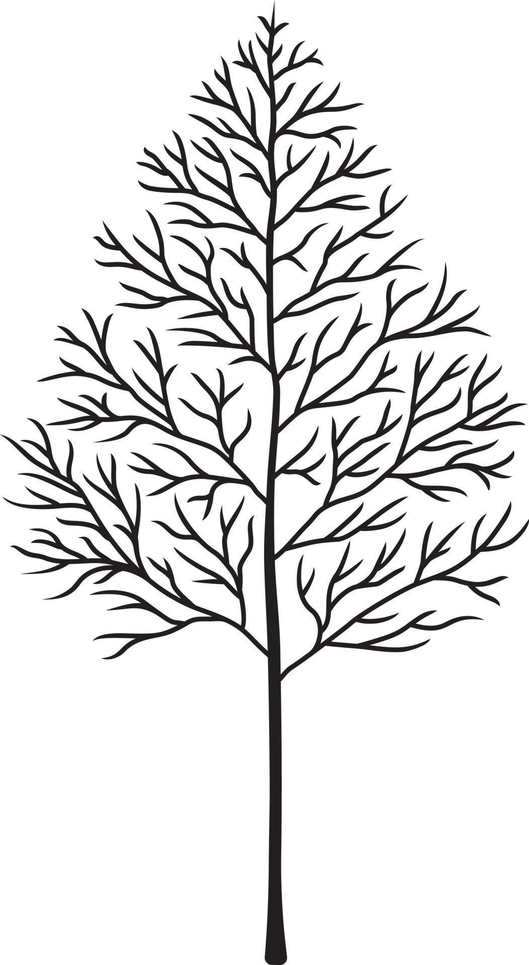 Leafless tree vector 4692484 Vector Art at Vecteezy