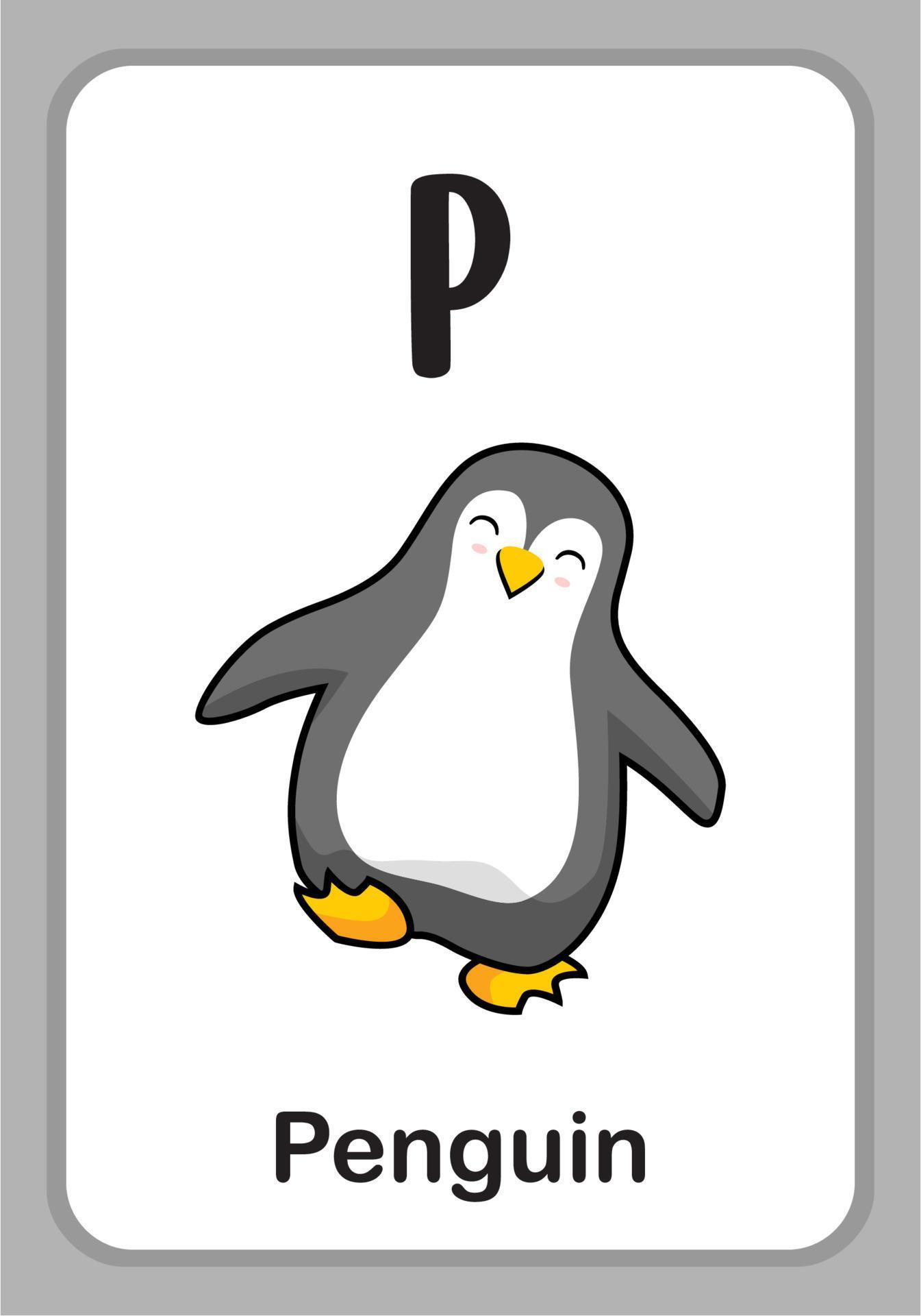 Animal Alphabet Education Flashcards - P for Penguin 4705604 Vector Art ...