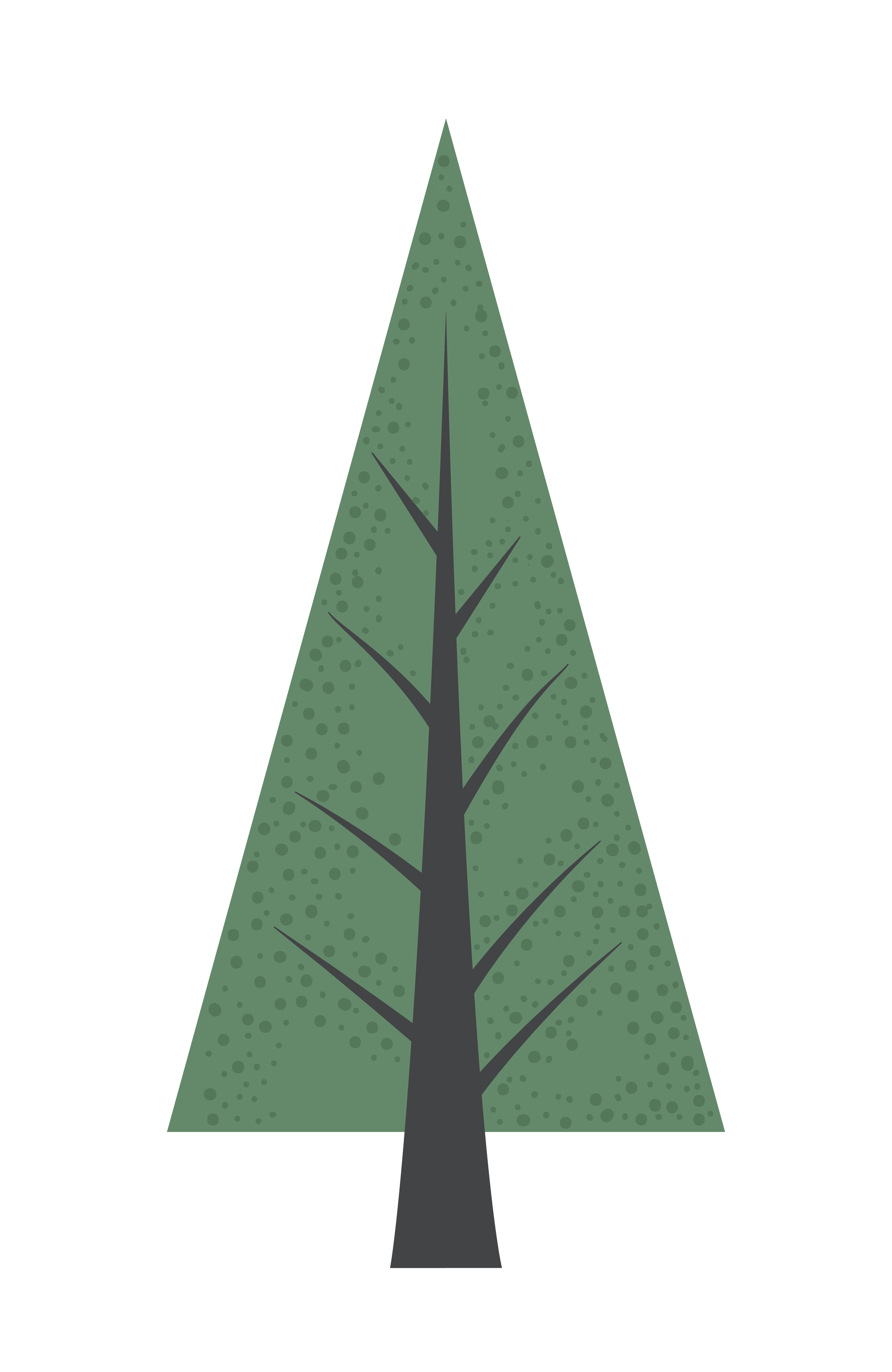 pine tree forest 4713388 Vector Art at Vecteezy