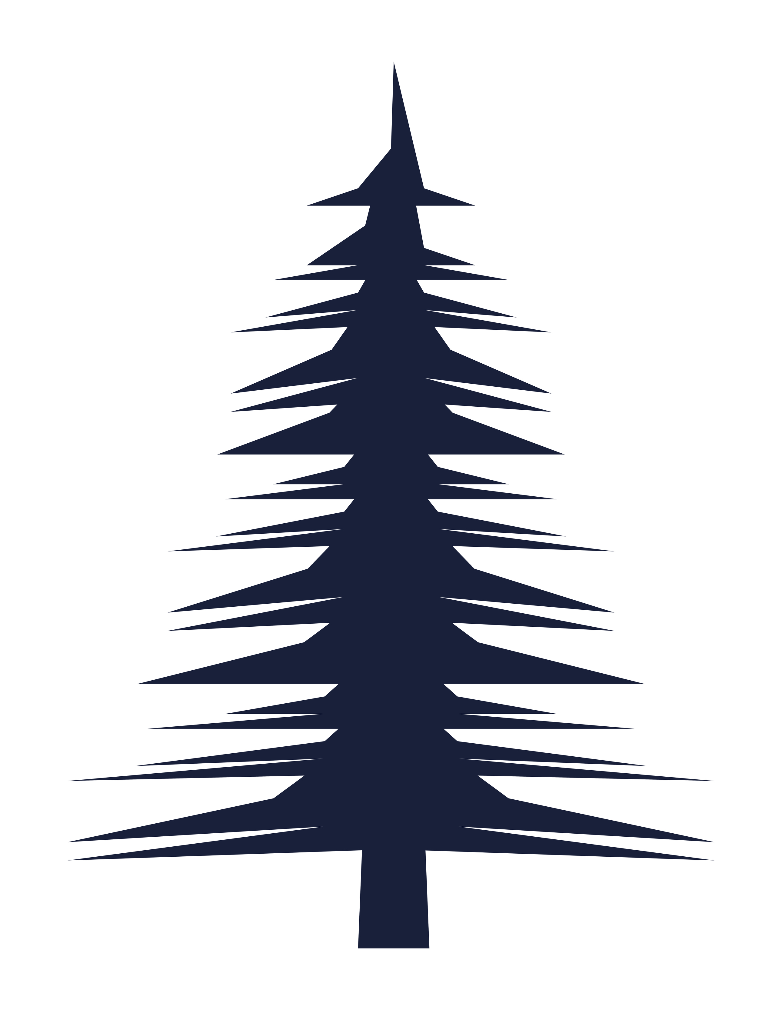 pine tree forest 4714246 Vector Art at Vecteezy
