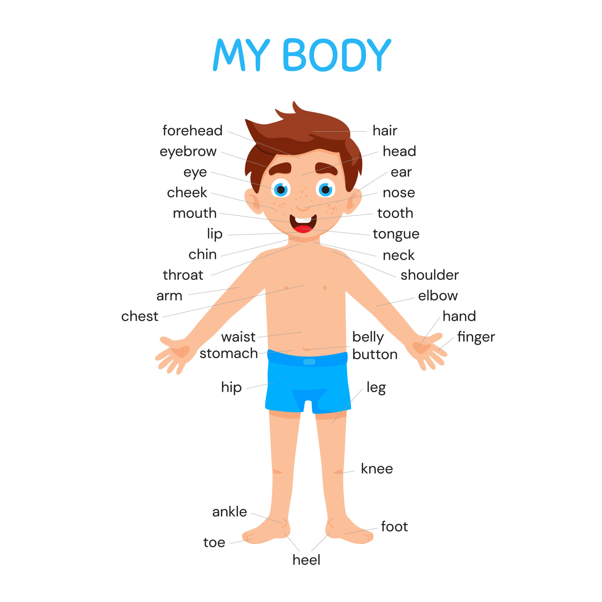 My Body Poster With Cute Kid Boy Shows His Body Parts Medical Anatomy my-body-poster-with-cute-kid-boy-shows-his-body-parts-medical-anatomy