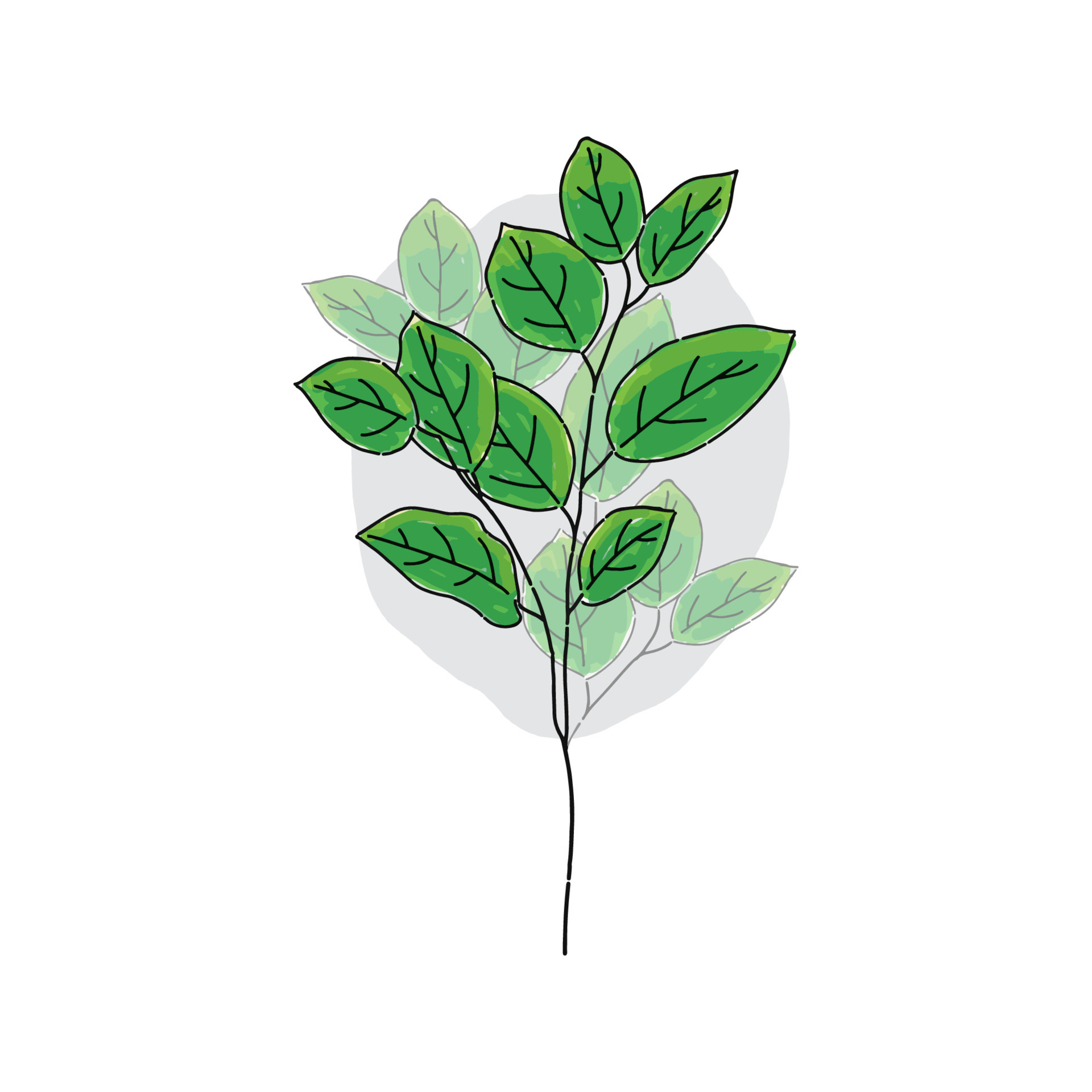 Aesthetic green leaves hand drawing 4759813 Vector Art at Vecteezy Aesthetic green leaves hand drawing 4759813 Vector Art at Vecteezy