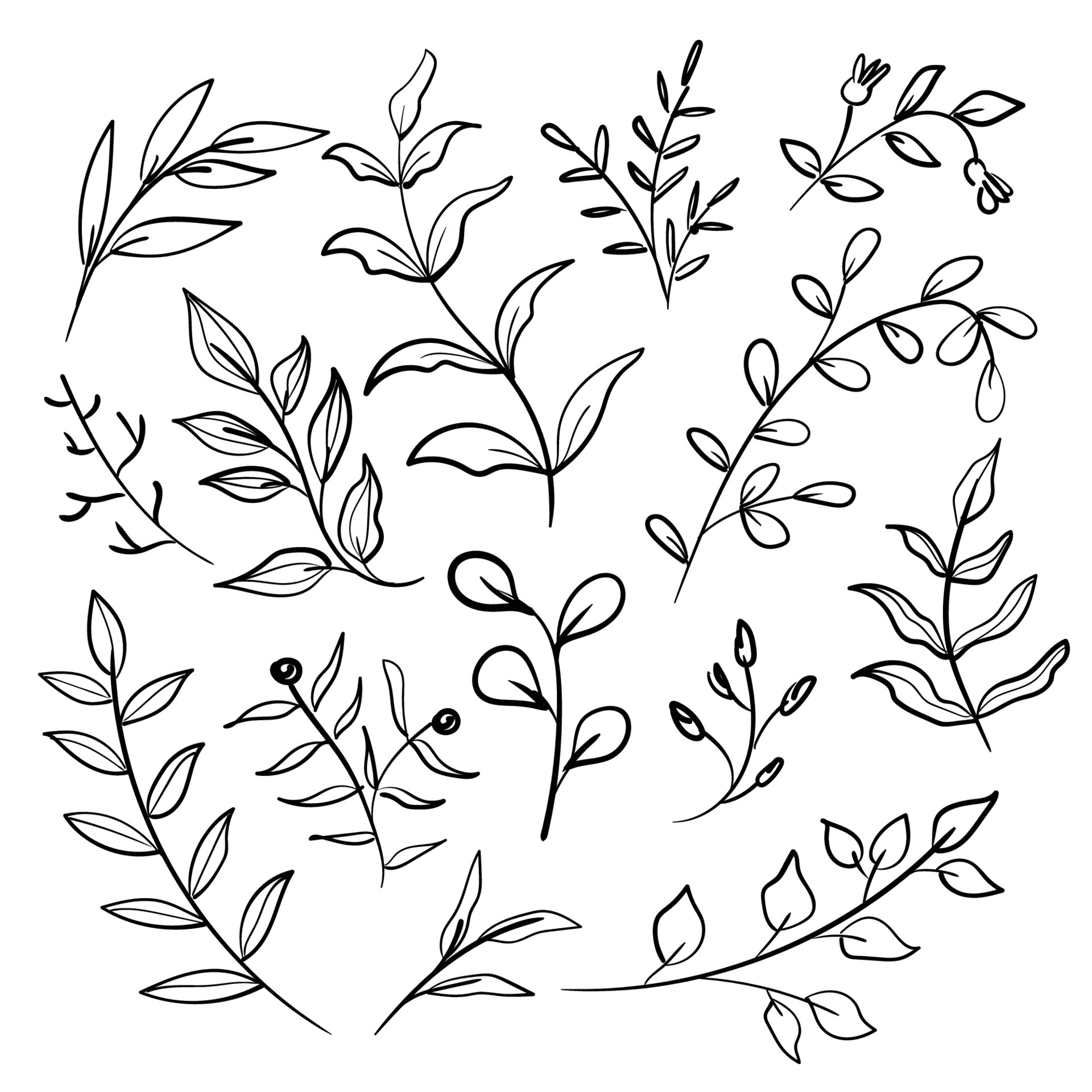 Leaves Doodle Line Art Collection 4795908 Vector Art At Vecteezy