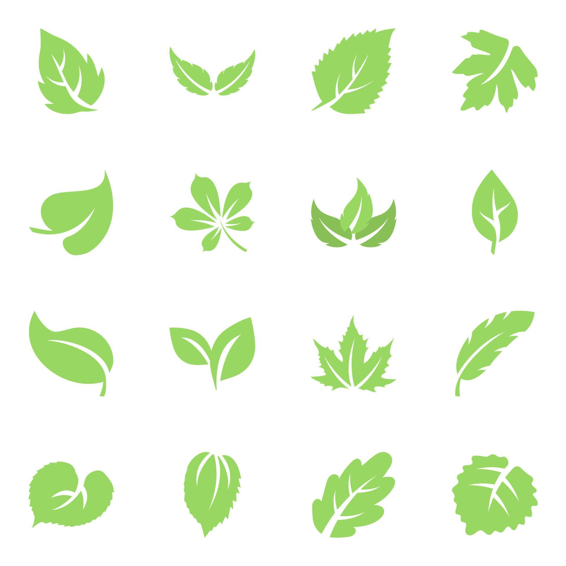 Trendy Leaf Elements 4908760 Vector Art at Vecteezy