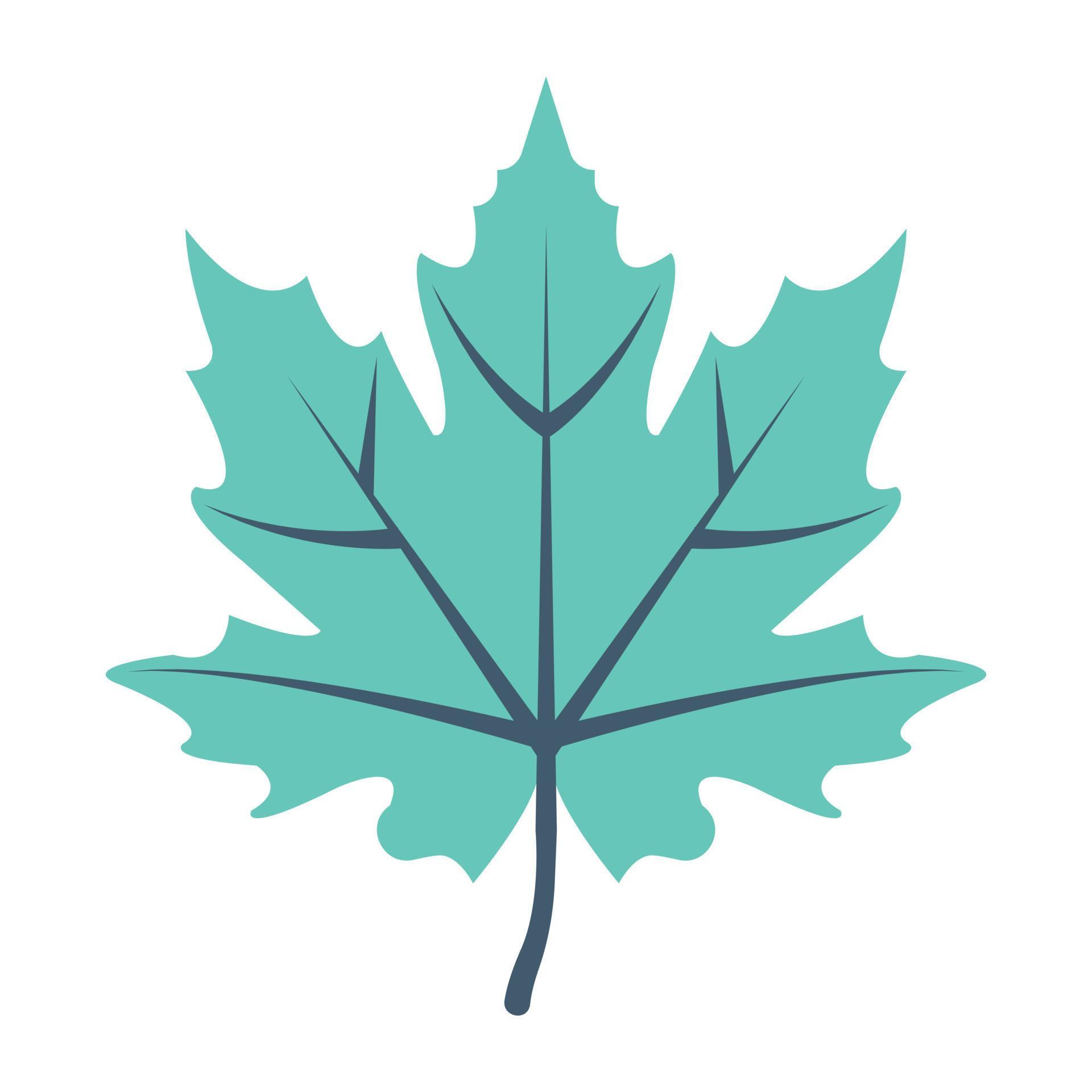 Maple Leaf Concepts 5035885 Vector Art at Vecteezy