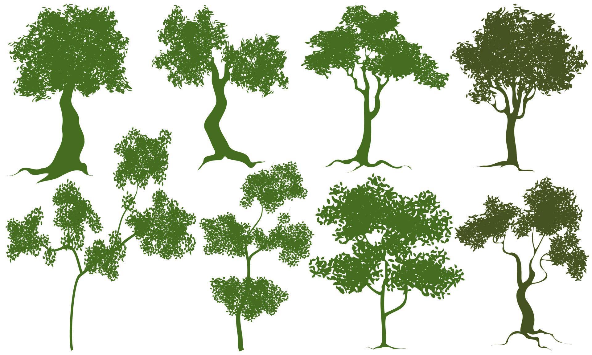 vectors tree set isolated on white background 5056636 Vector Art at ...
