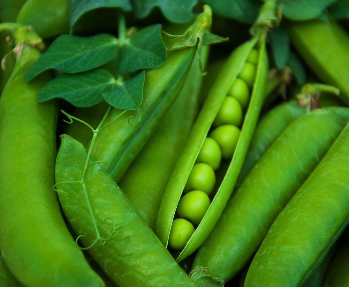 Pea Pod Stock Photos, Images and Backgrounds for Free Download