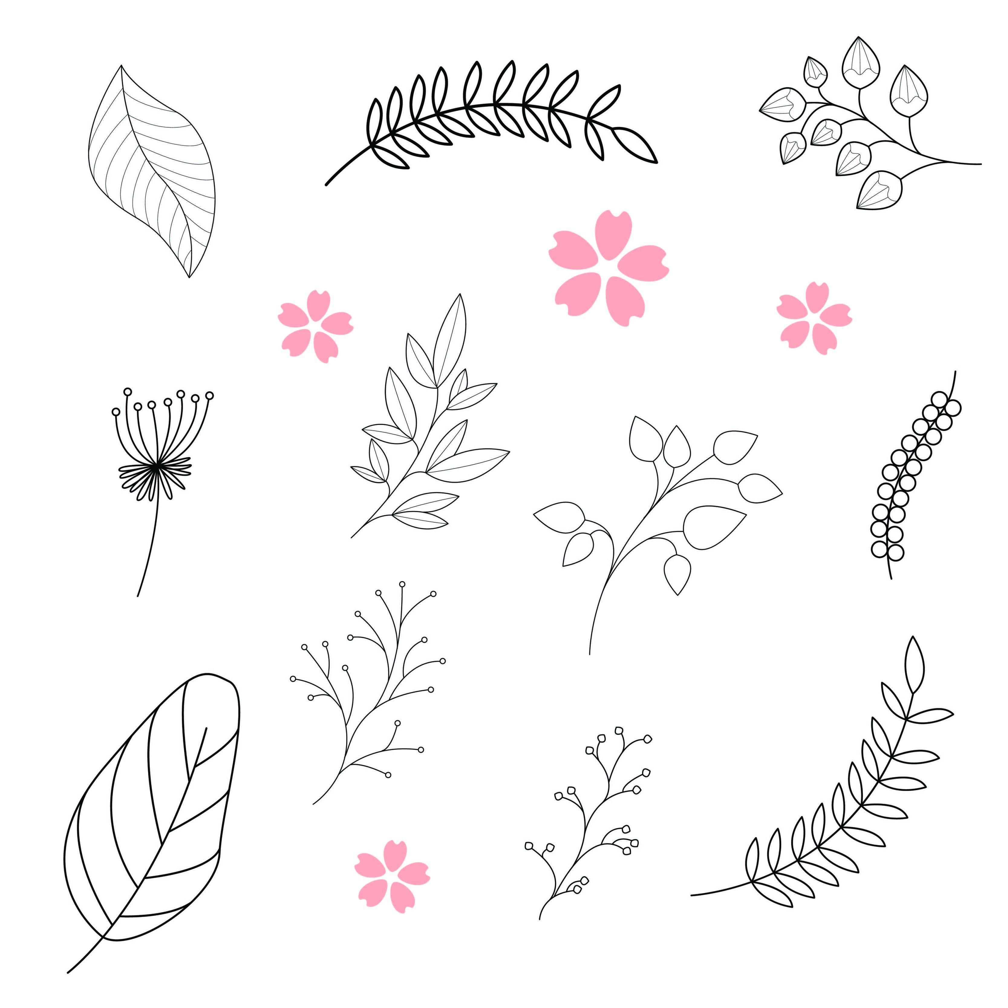 Vector Designer Elements Set Collection Of Green Jungle Ferns Tropical Green Eucalyptus Leaf
