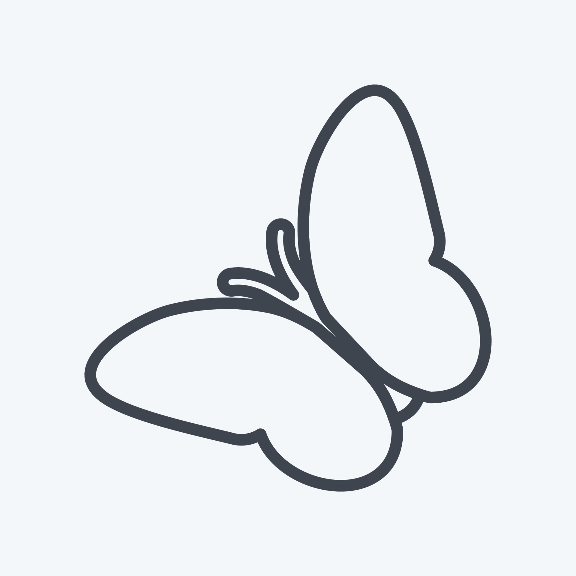 Butterfly Flying Line Drawing