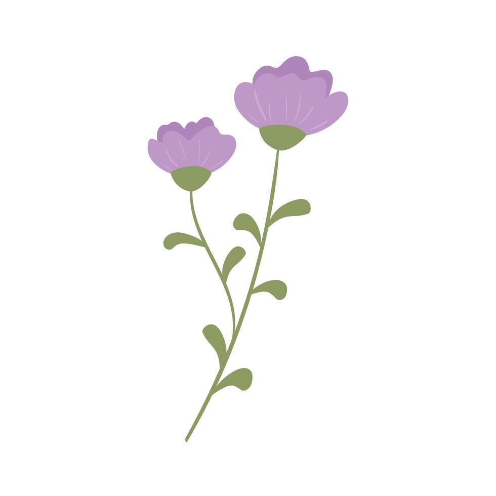 violet flowers nature 5252901 Vector Art at Vecteezy