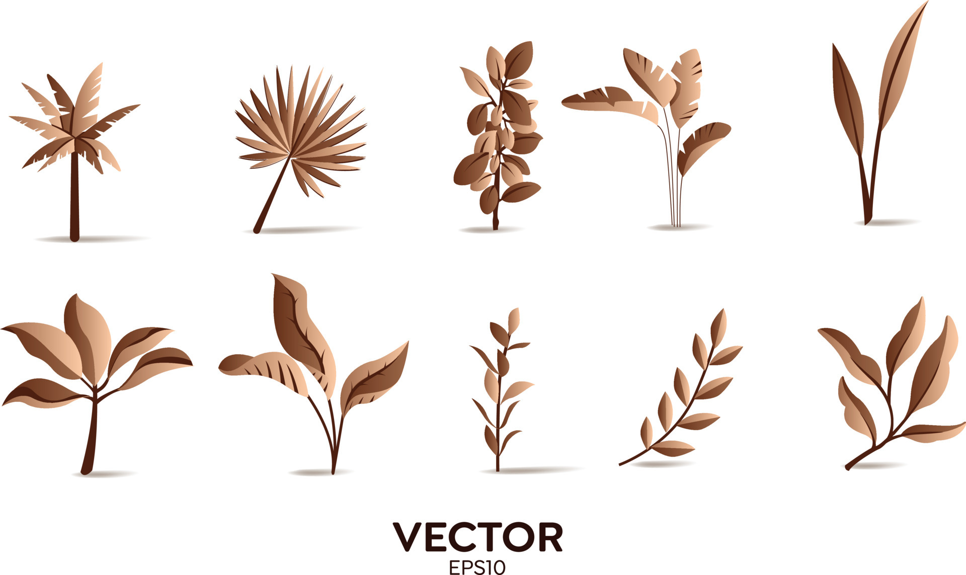 Vector Designer Elements Set Collection Of Brown Jungle Ferns Tropical Eucalyptus Art Natural