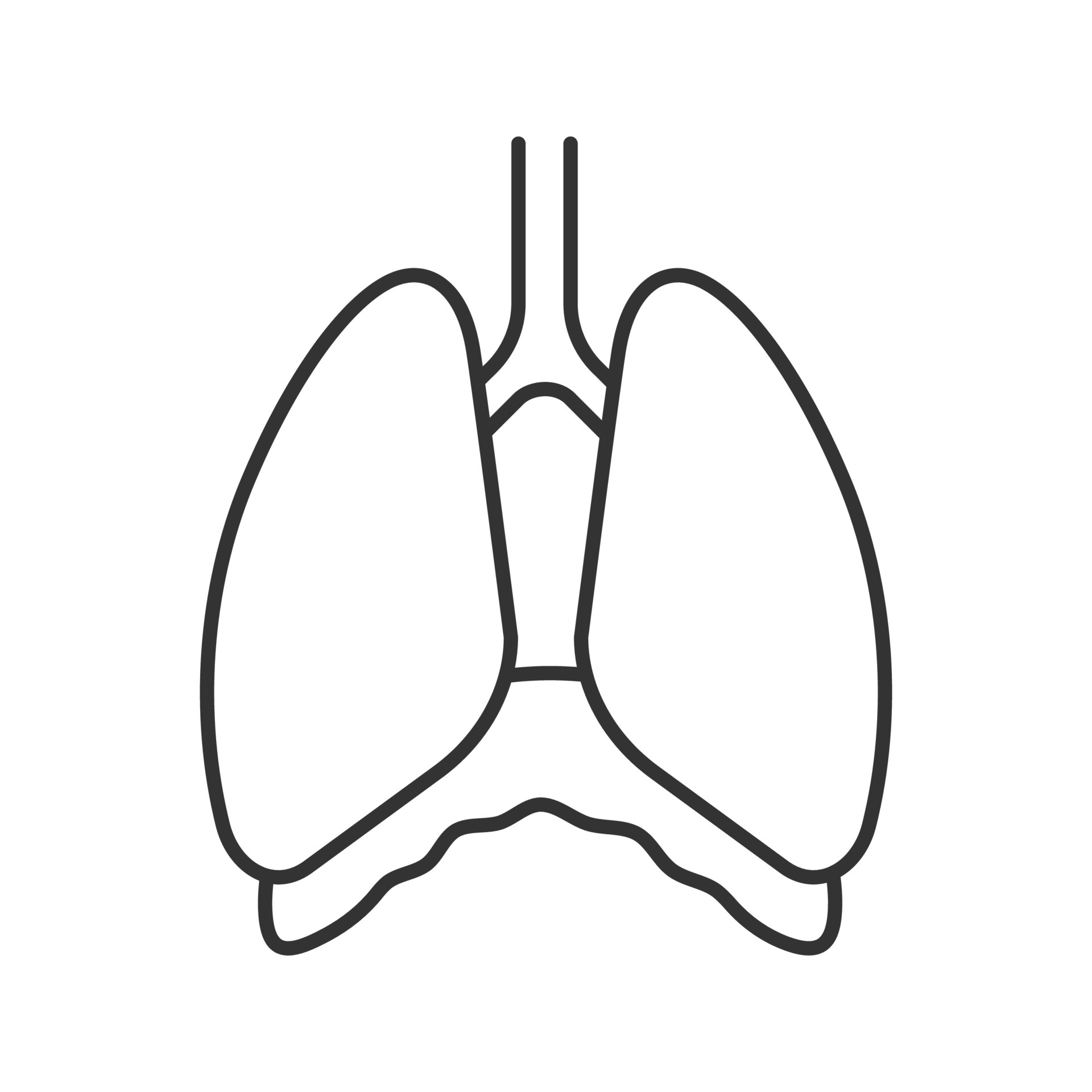 Thoracic Cavity Linear Icon Diaphragm Thin Line Illustration Human