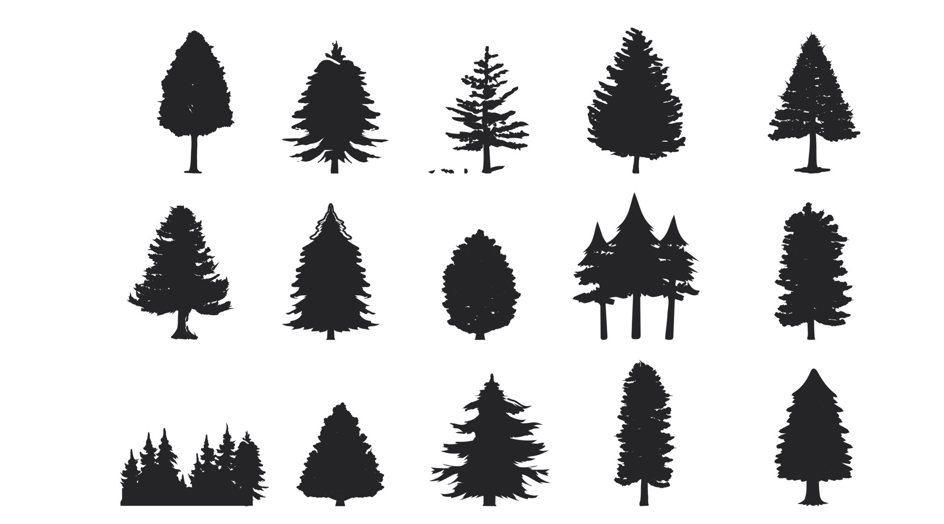 White Pine Tree Vector Art, Icons, and Graphics for Free Download